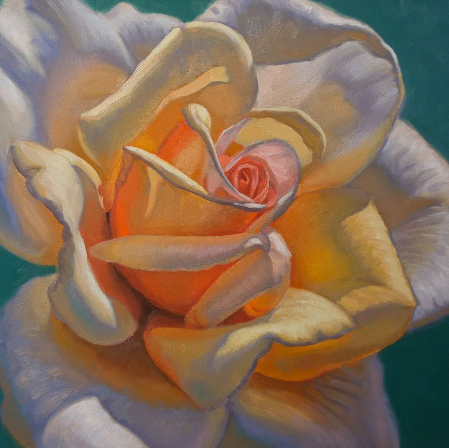 Shop Original Artworks — Fiona Craig Fine Art