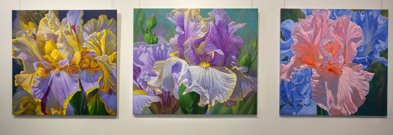 Blog — Fiona Craig Fine Art