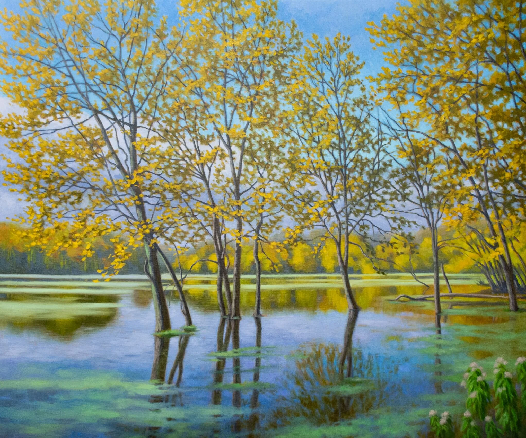 Landscapes — Fiona Craig Fine Art