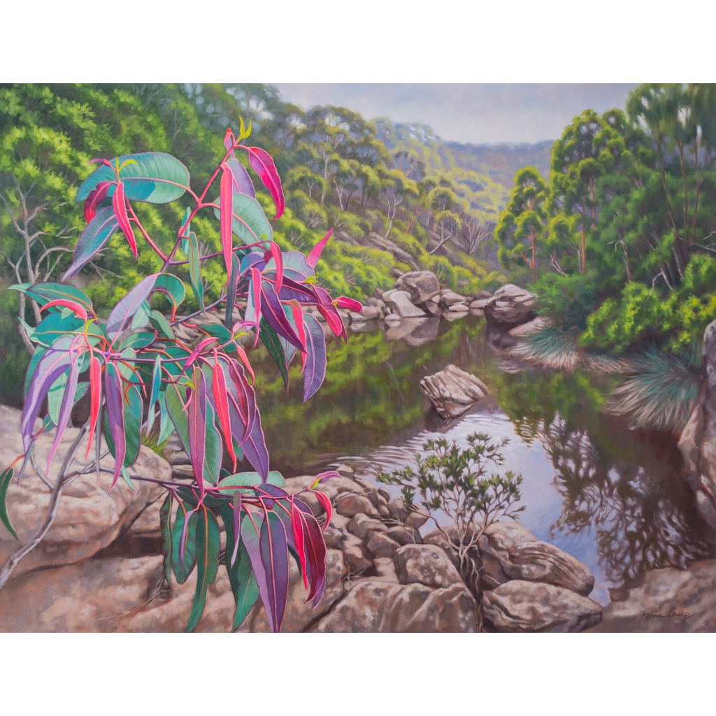 Prints — Fiona Craig Fine Art