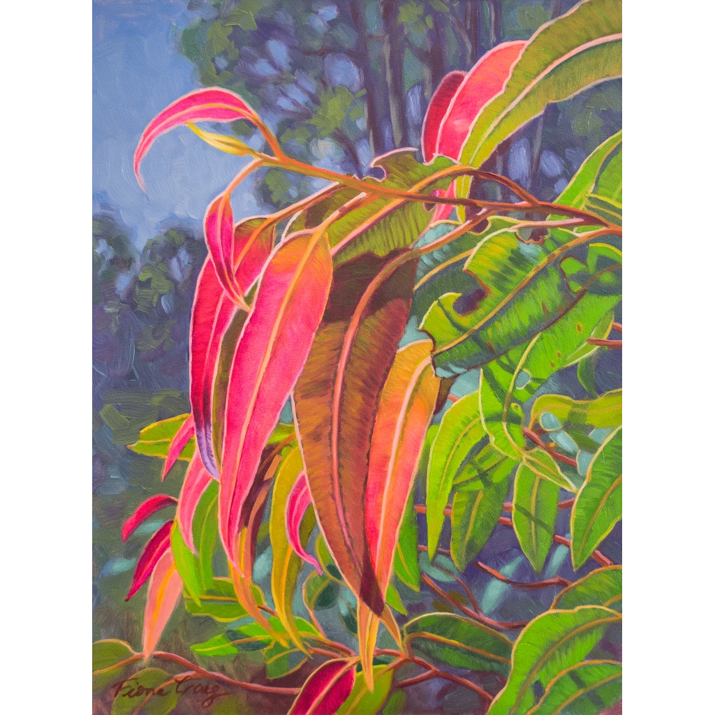 Prints — Fiona Craig Fine Art