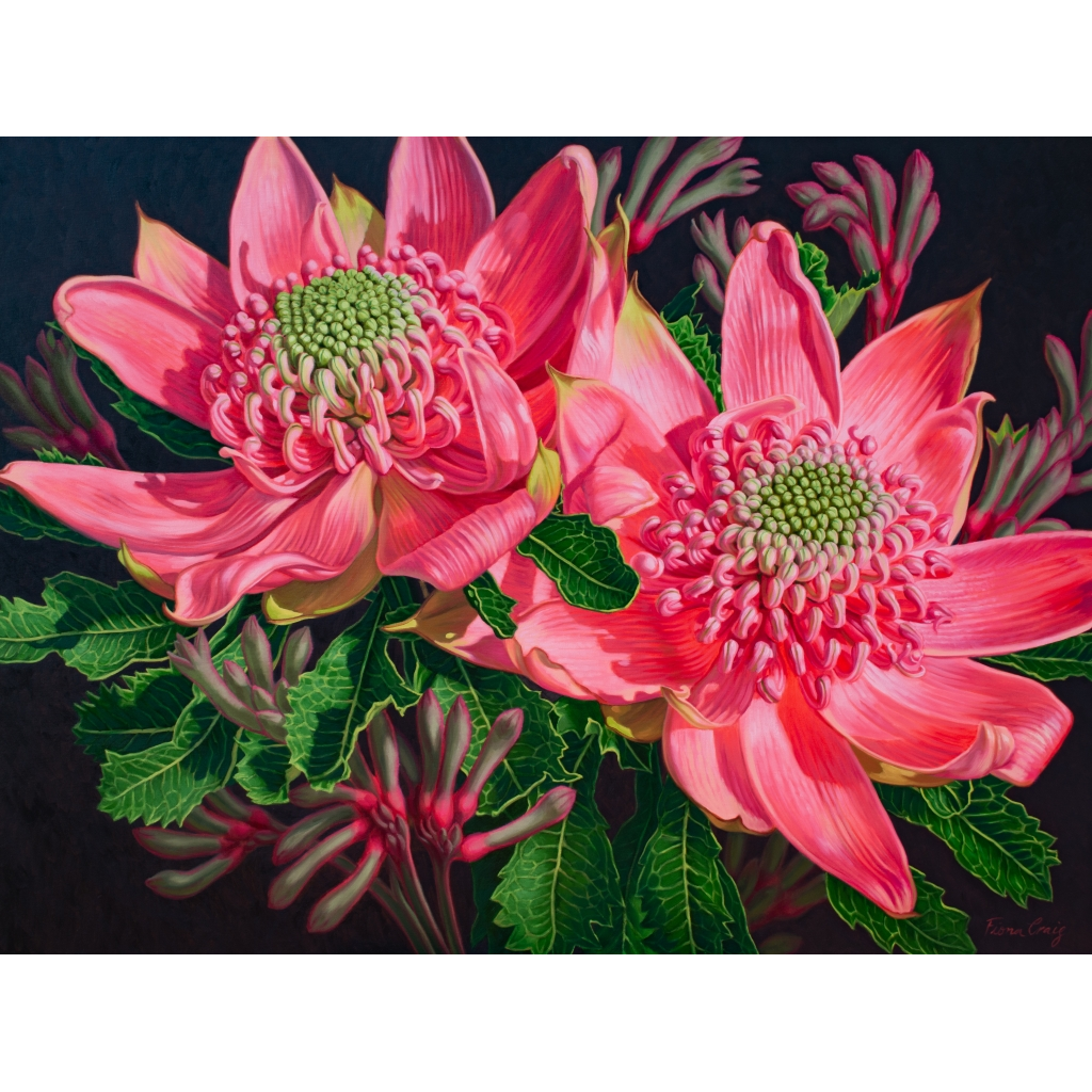 Prints — Fiona Craig Fine Art