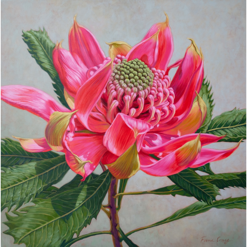 Prints — Fiona Craig Fine Art