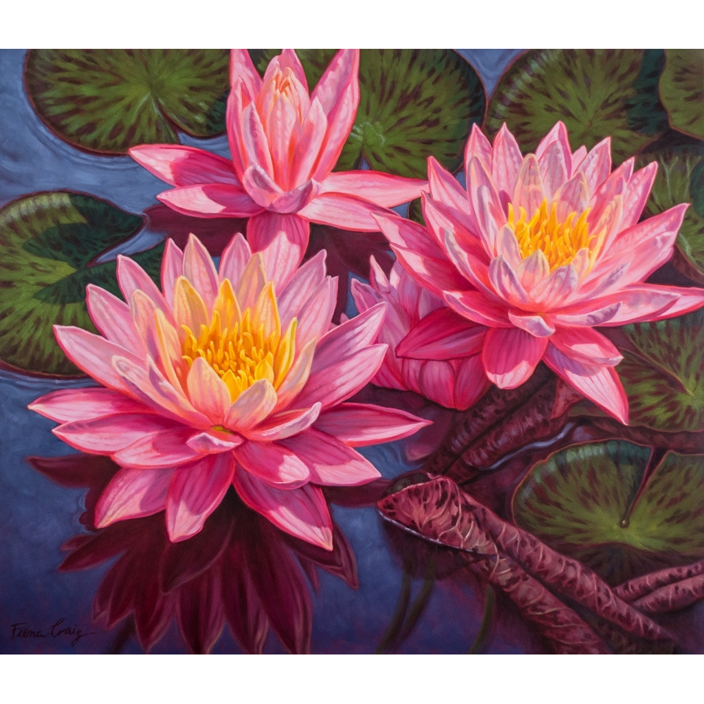 Prints — Fiona Craig Fine Art