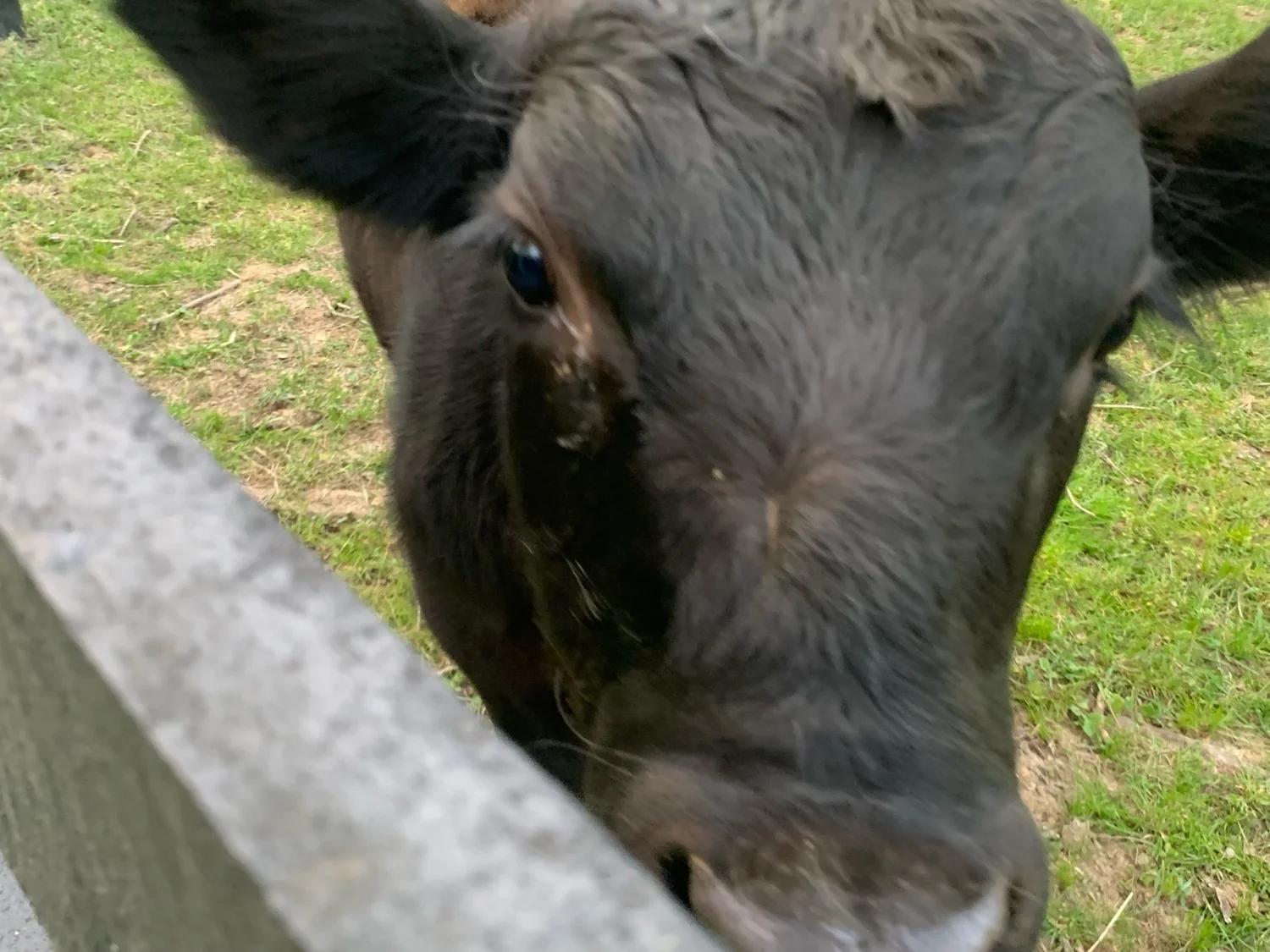 For Sale — Abel Farms LaGrange KY