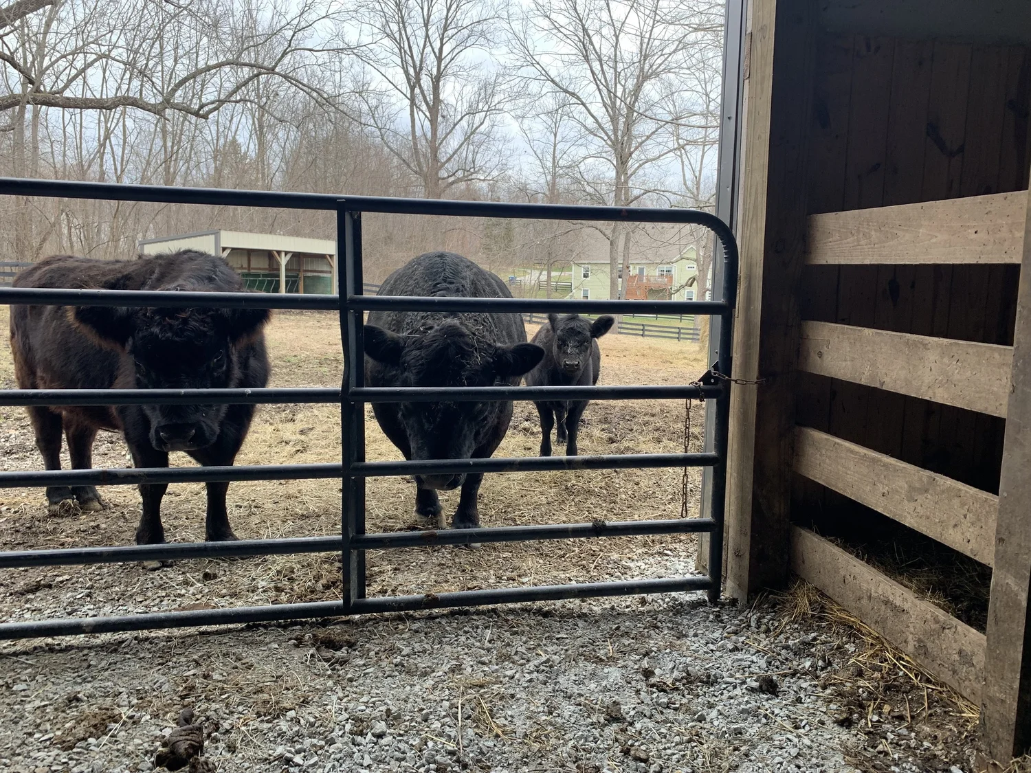 For Sale — Abel Farms LaGrange KY