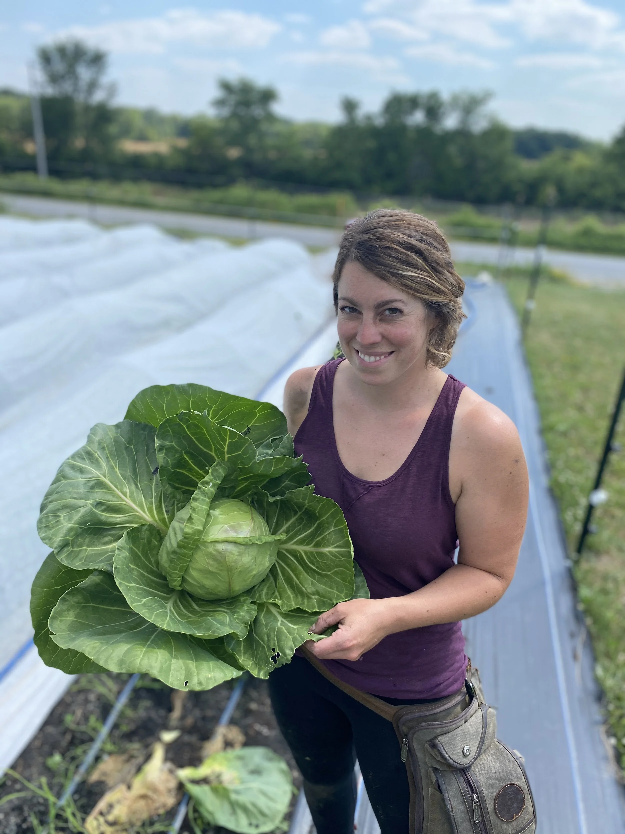 CSA (Harvest Box) — Grounded Earth Farm