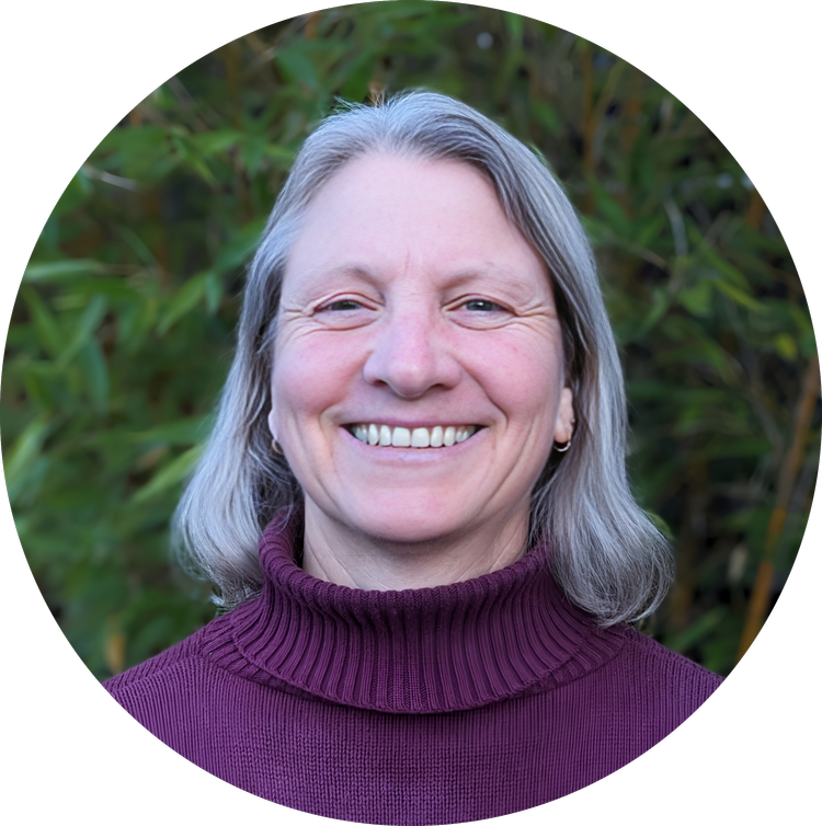 mindfulSF | Therapy and Wellness | San Francisco, CA (Bay Area)