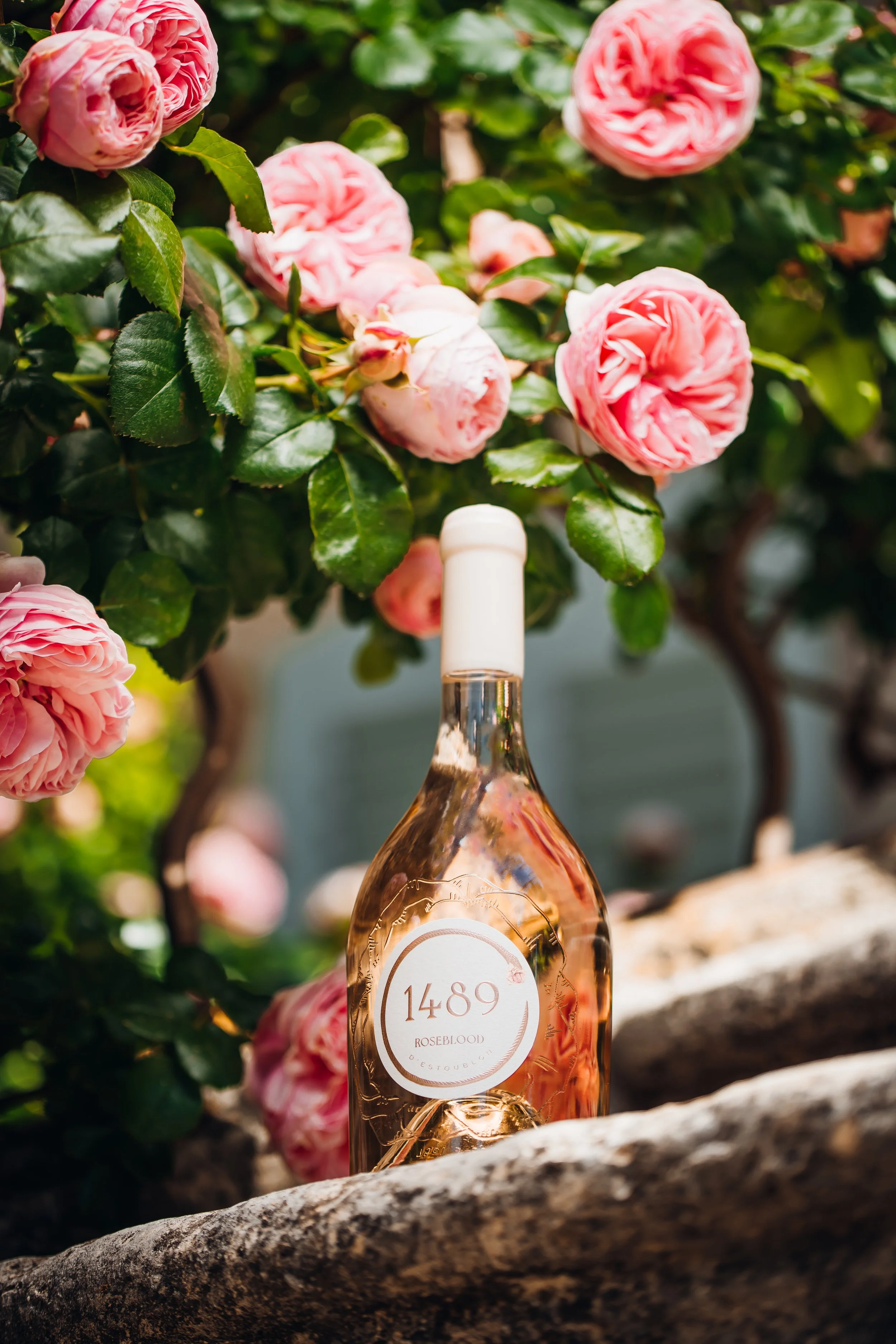 Château d’Estoublon Partners with Nimbility to Build APAC Markets ...