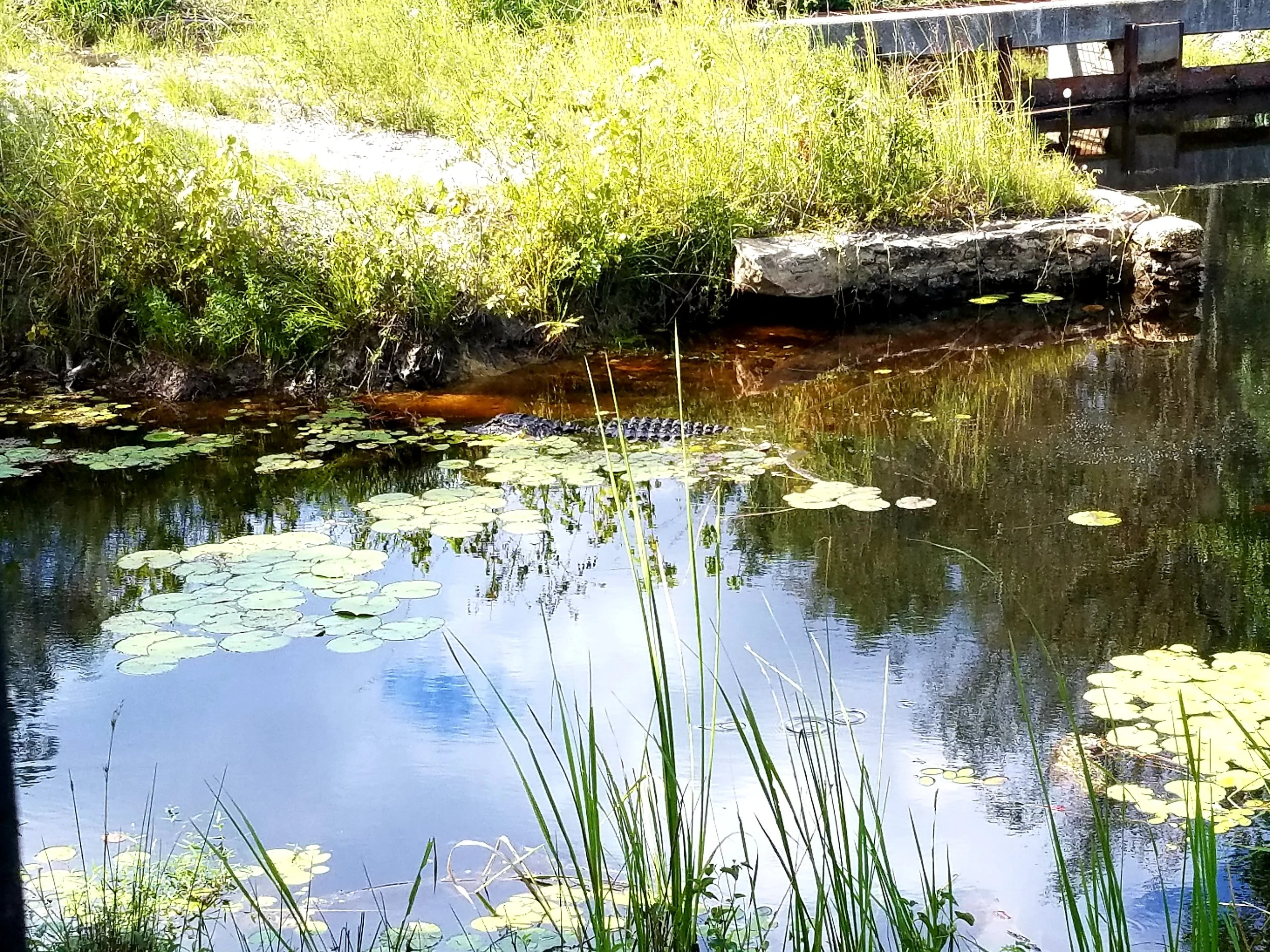 Mill Pond Steakhouse