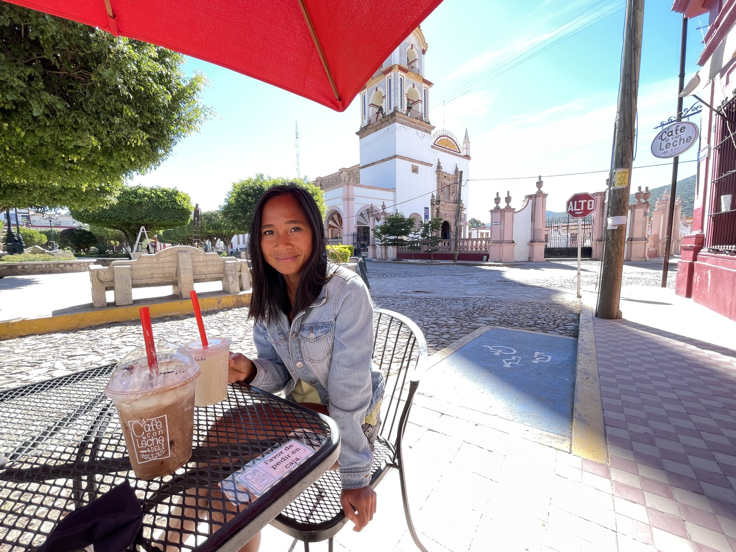 Guide to Travel Mascota, Mexico — Exploratory Glory Media Travel and ...