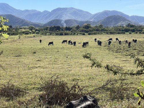 Guide to Travel Mascota, Mexico — Exploratory Glory Media Travel and ...