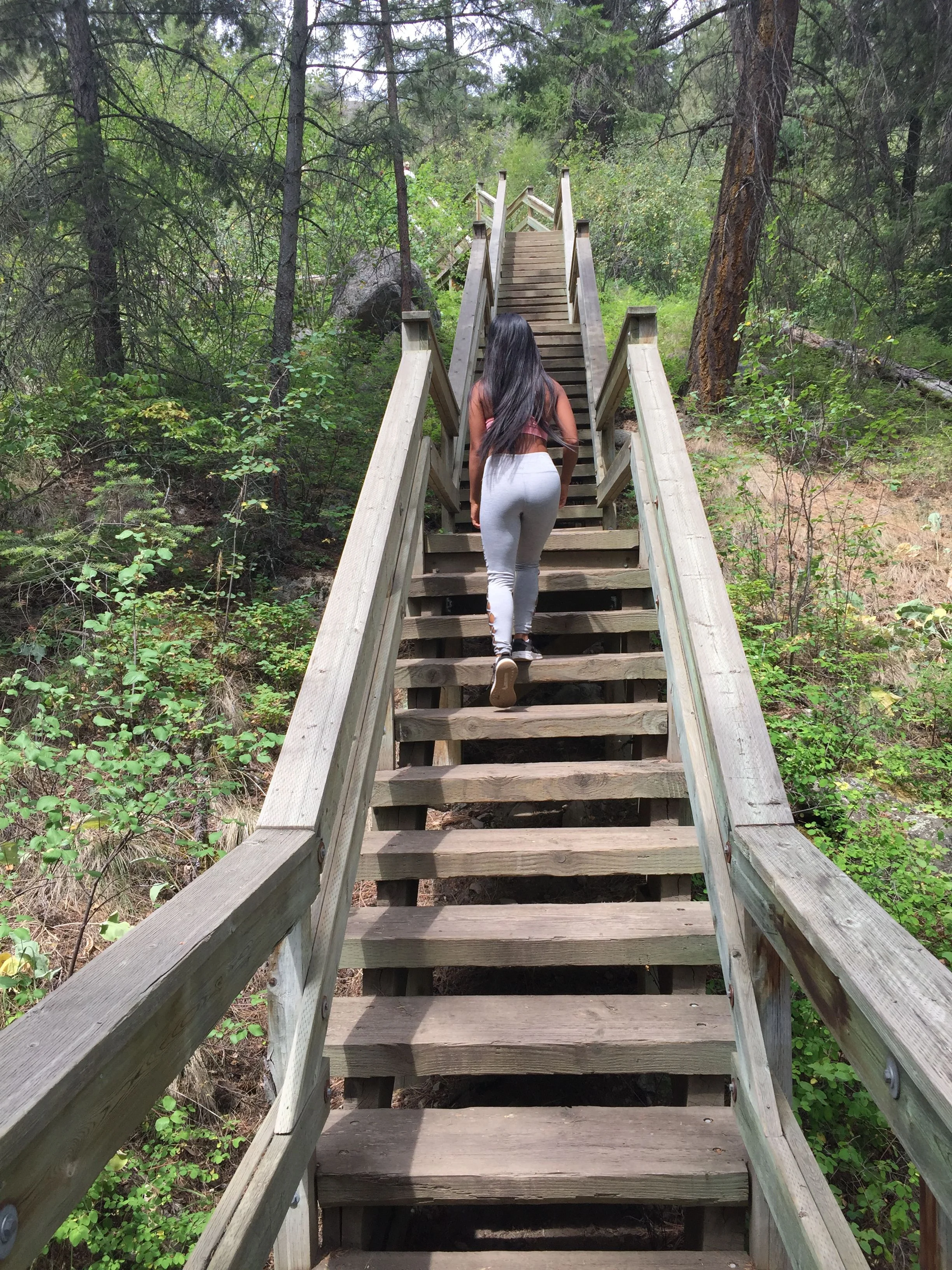 Fintry Falls Trail — Exploratory Glory Travel Blog