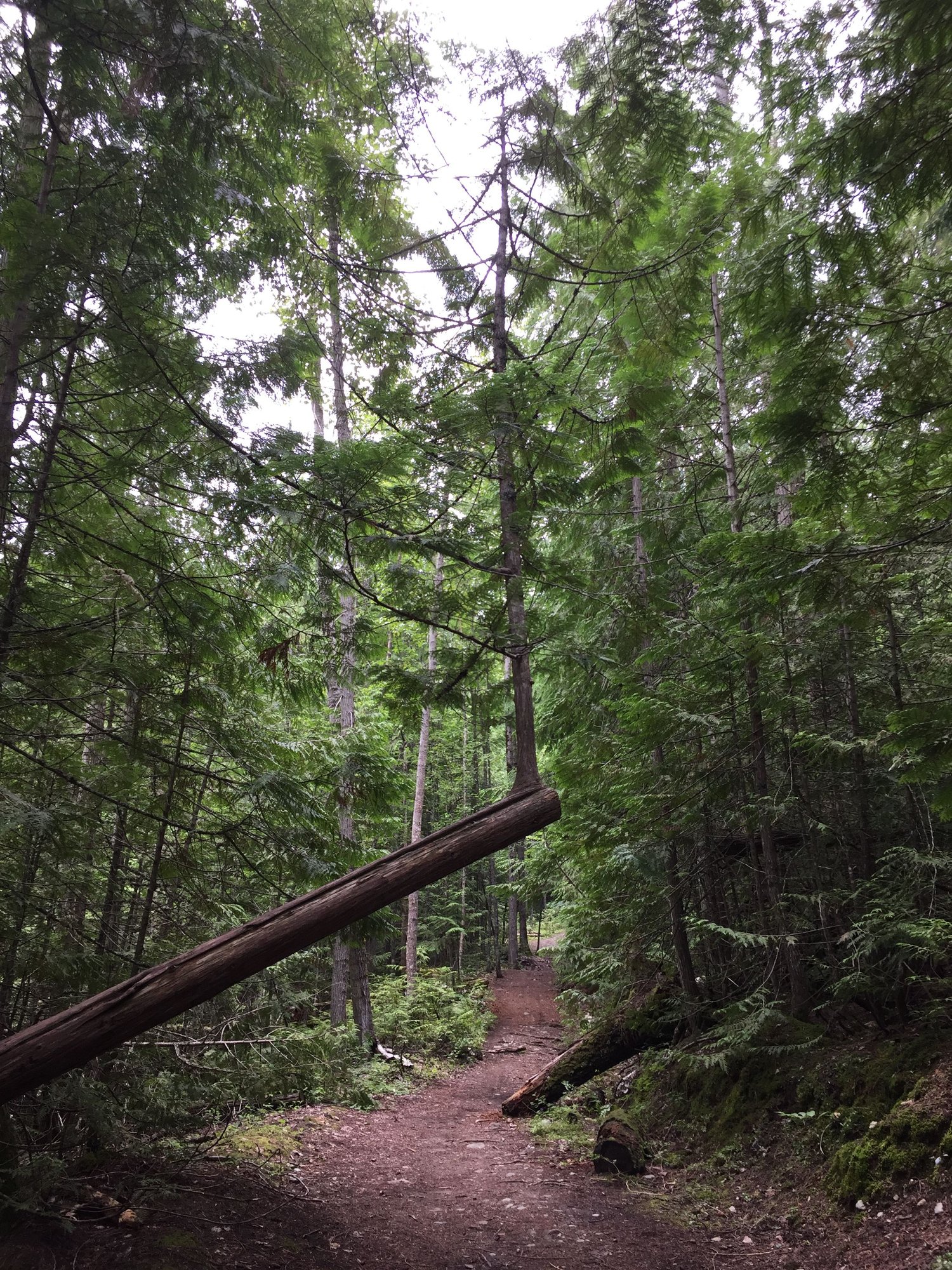 Rose Swanson Hike — Exploratory Glory Travel Blog