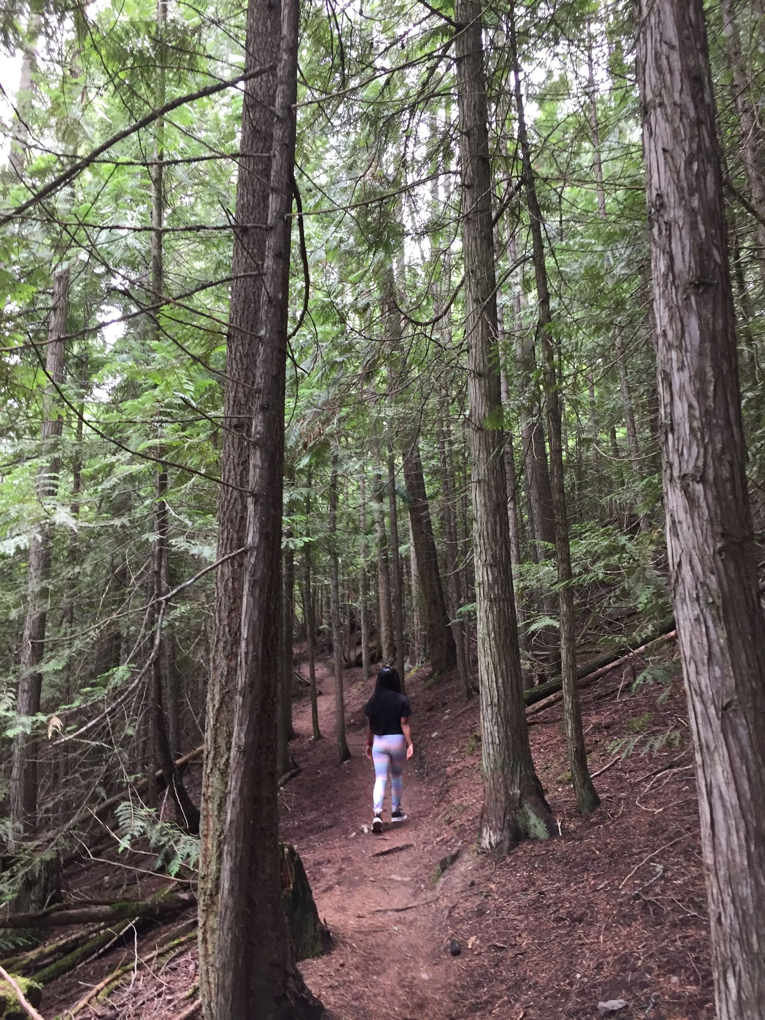 Rose Swanson Hike — Exploratory Glory Travel Blog