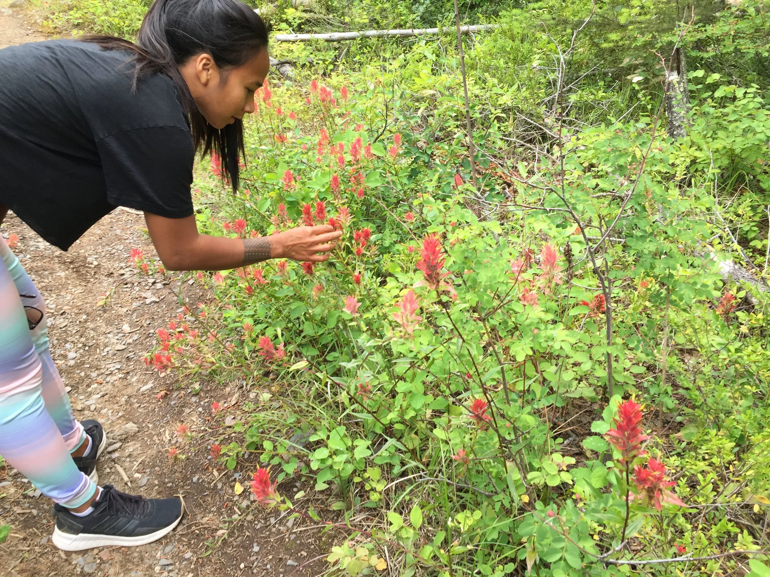 Explore the Scenic Rose Swanson Hiking Trails in Armstrong, British ...