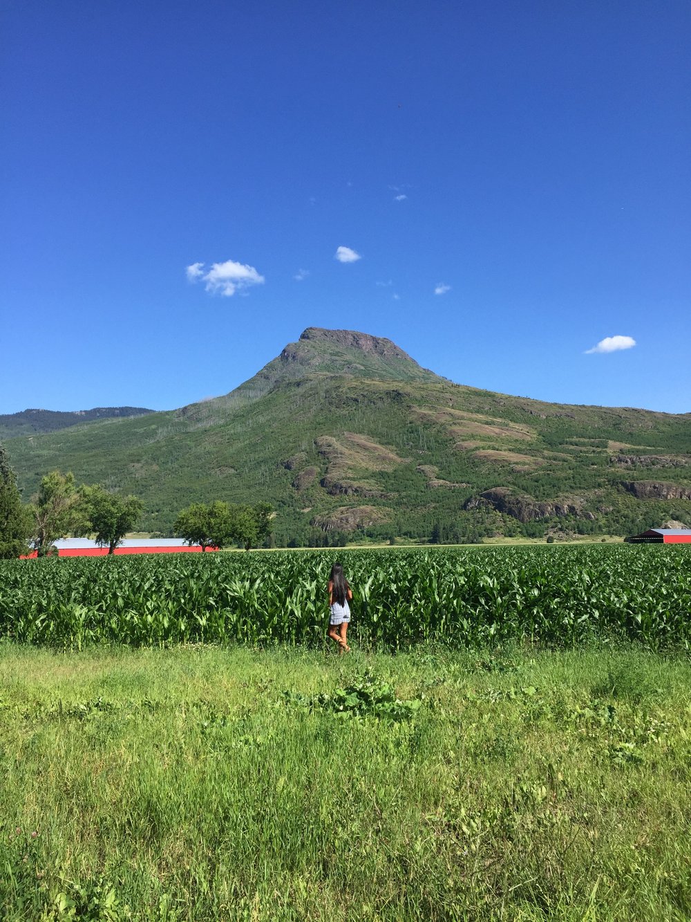 Rose Swanson Hike — Exploratory Glory Travel Blog