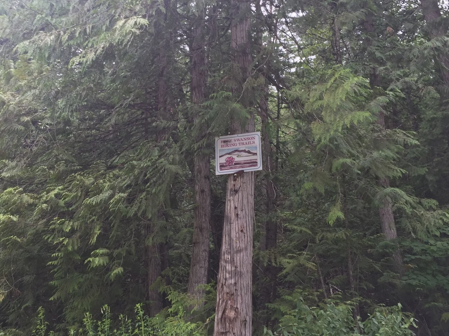 Rose Swanson Hike — Exploratory Glory Travel Blog