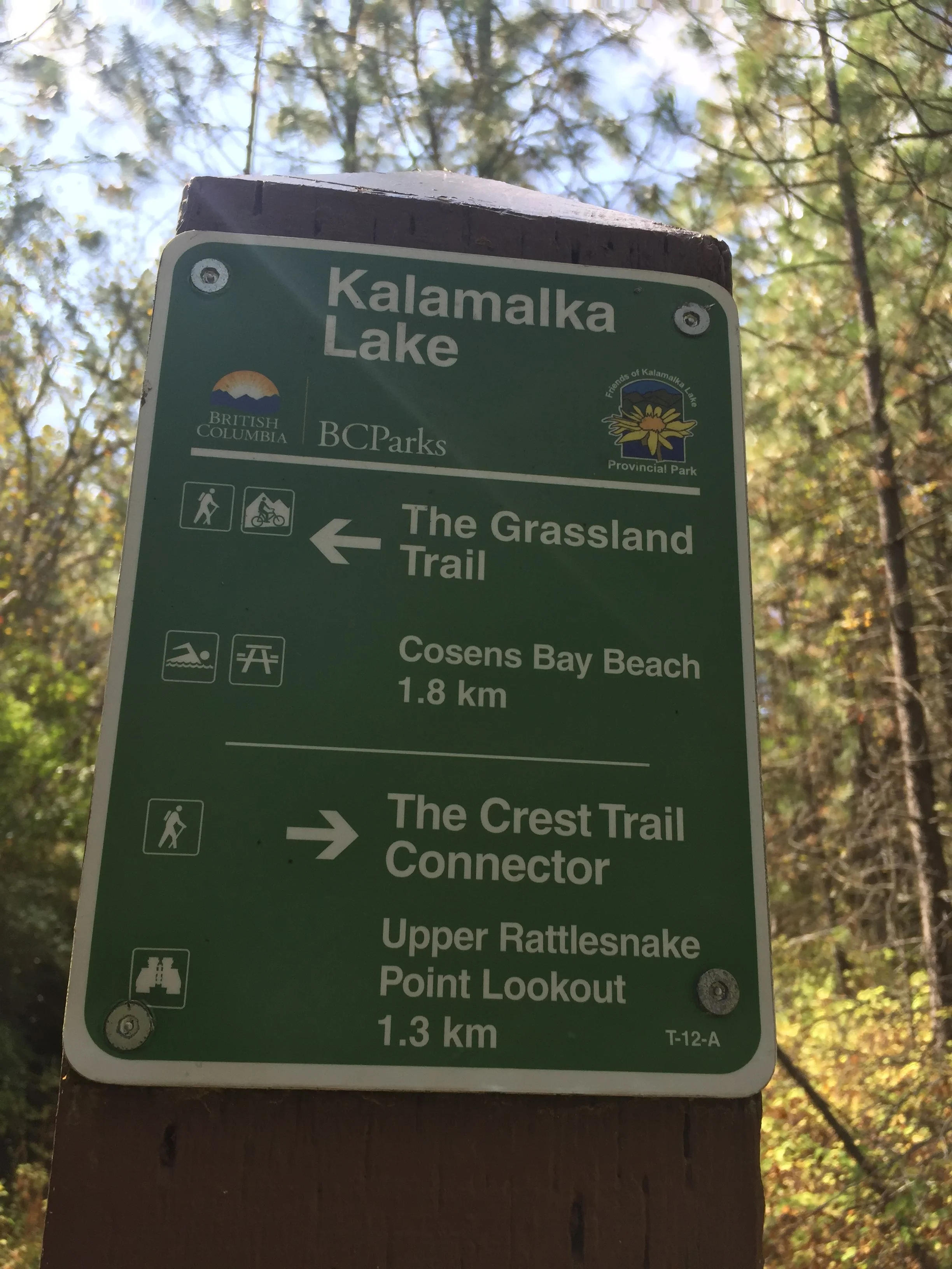 Cosens Bay Beach — Exploratory Glory Travel Blog