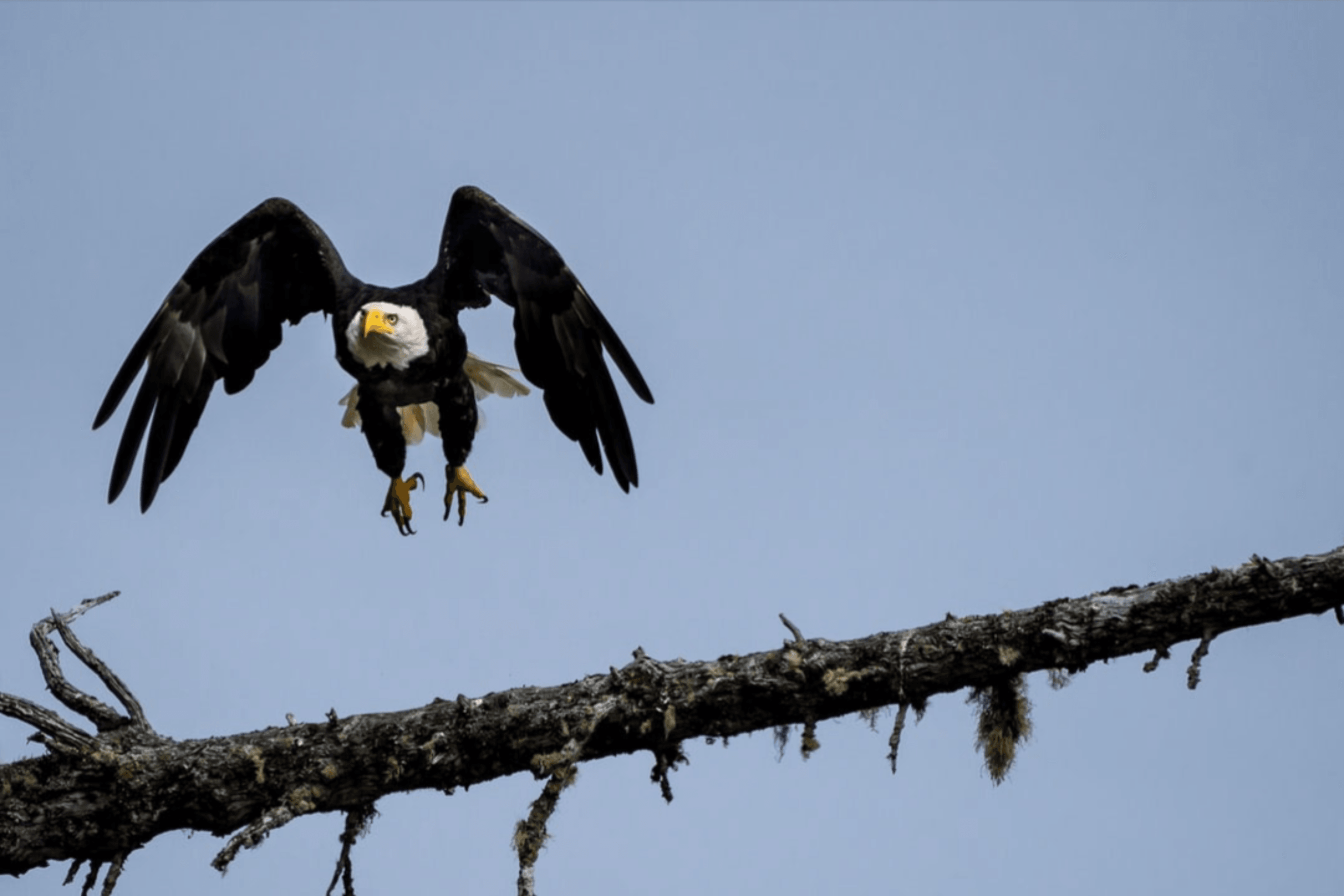 Reasons to Visit British Columbia — Exploratory Glory Travel Blog