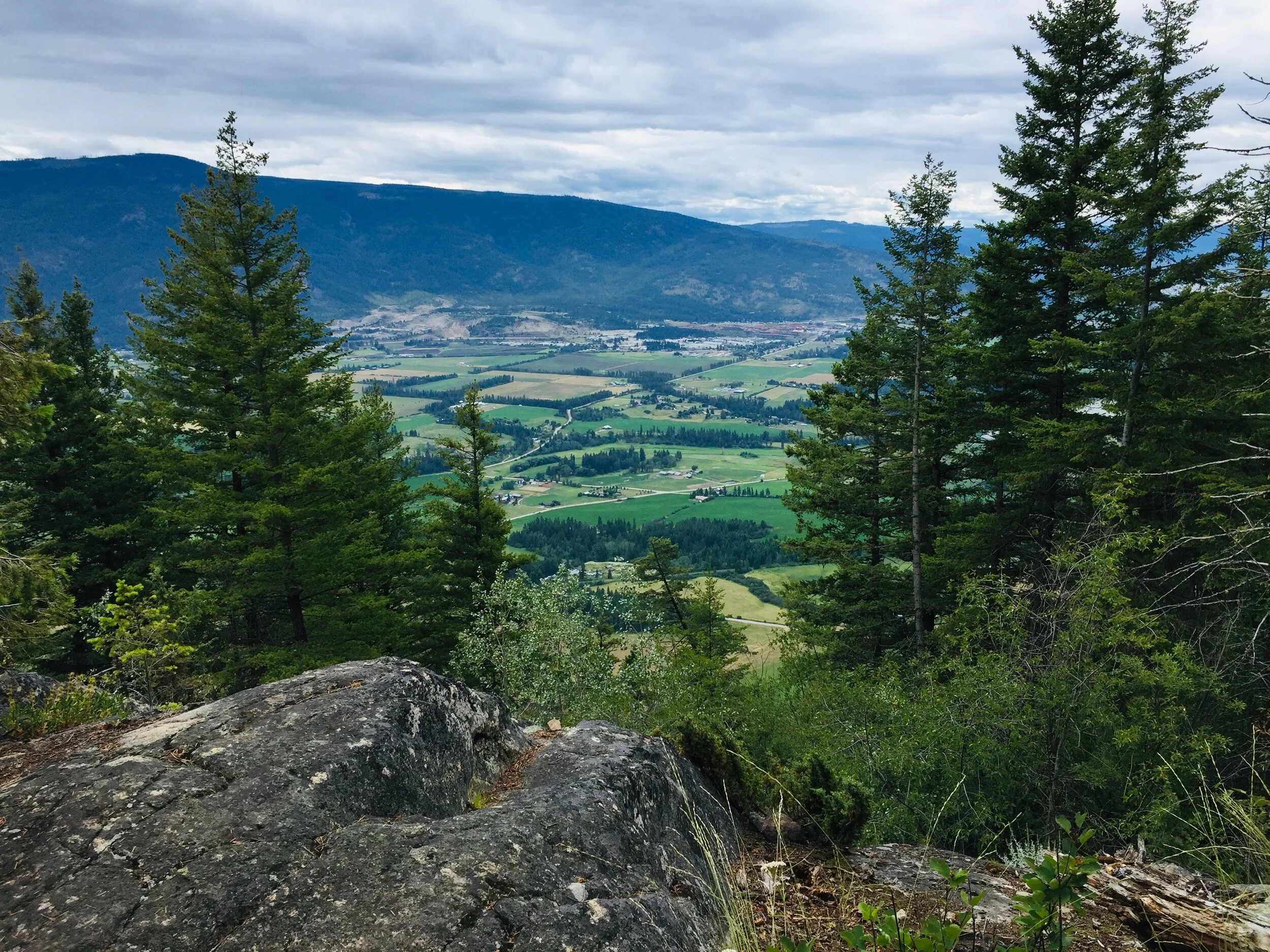 Explore the Scenic Rose Swanson Hiking Trails in Armstrong, British ...