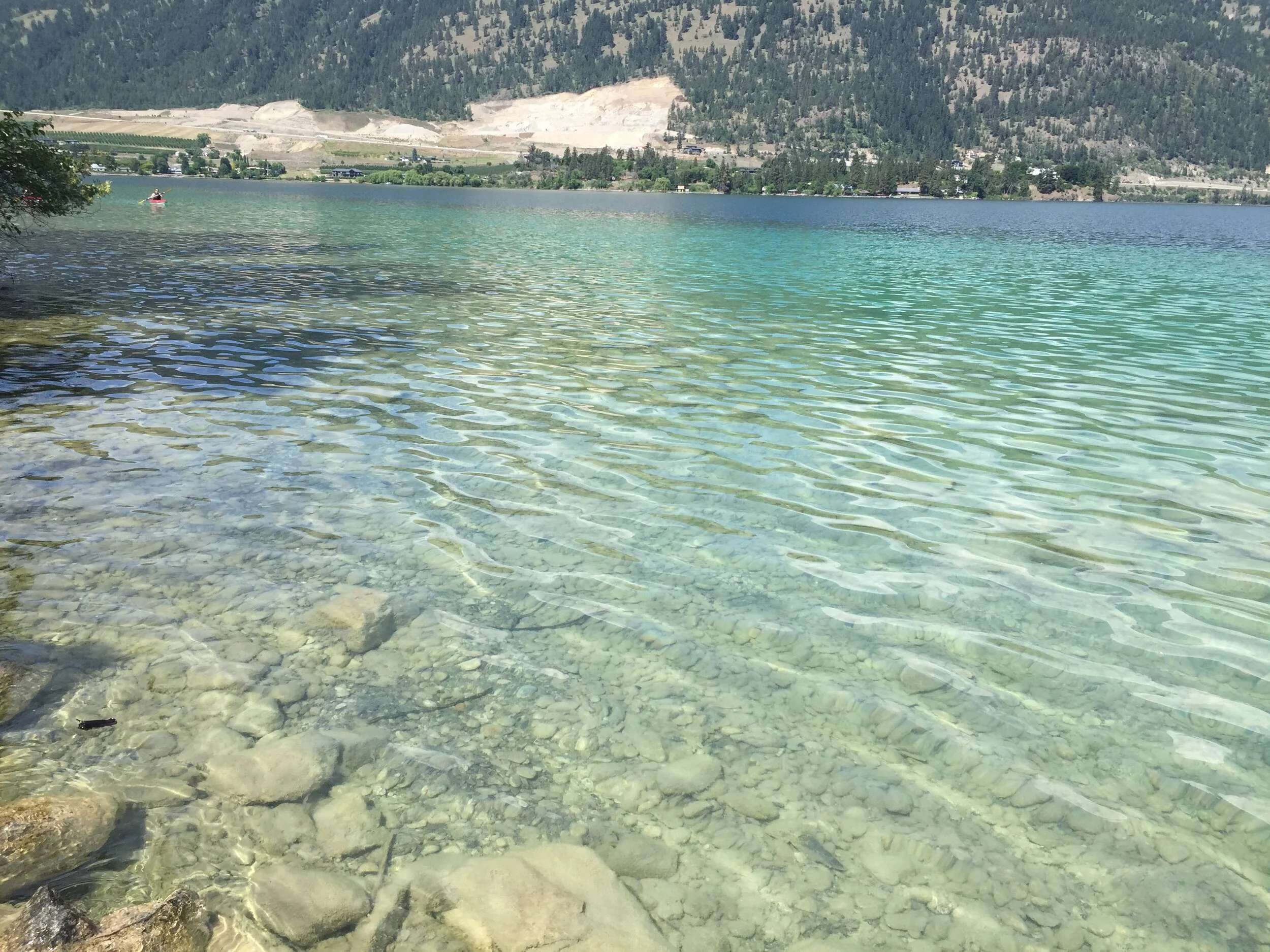 Kaloya Regional Park — Exploratory Glory Media Travel and Lifestyle ...