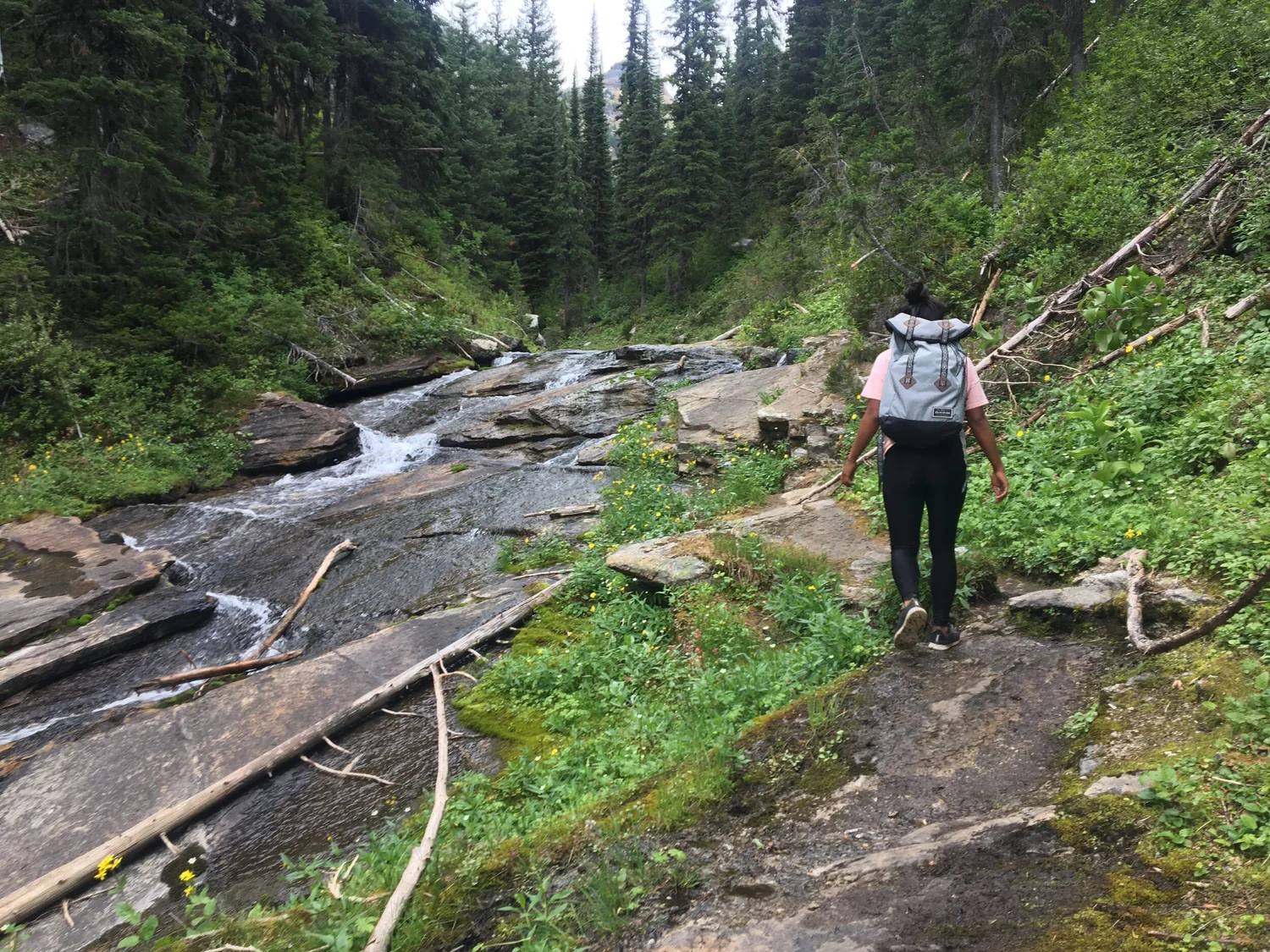 Pinnacle Lake Hike, British Columbia — Exploratory Glory Media Travel ...