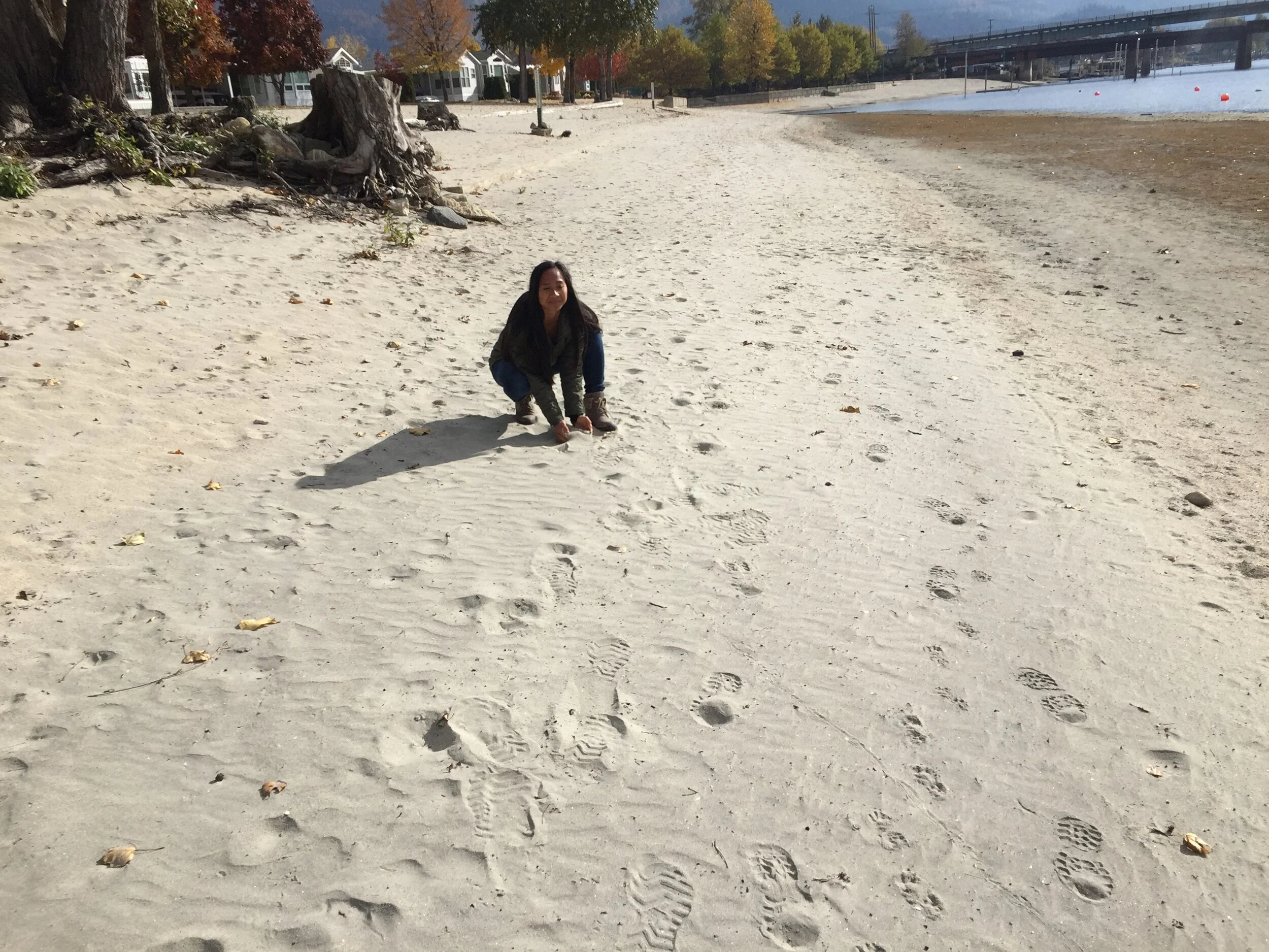 Sicamous Beach Park (Silver Sands) — Exploratory Glory Media Travel and ...