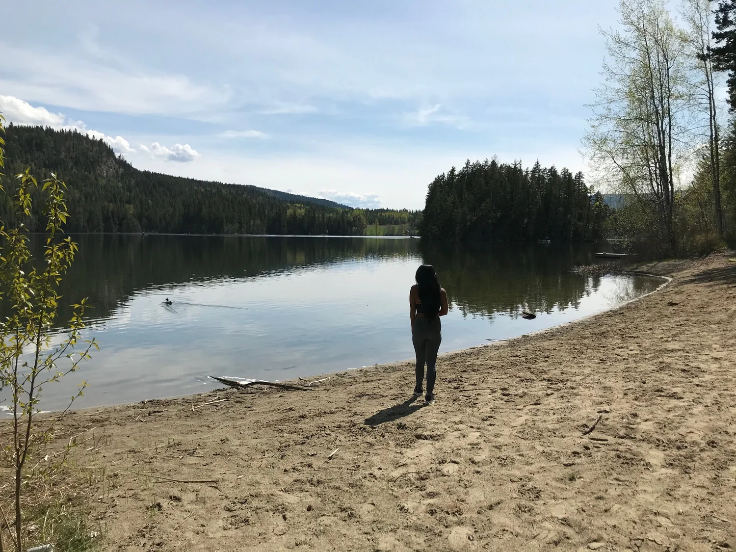 Gardom Lake — Exploratory Glory Media Travel and Lifestyle Blogs Travel ...