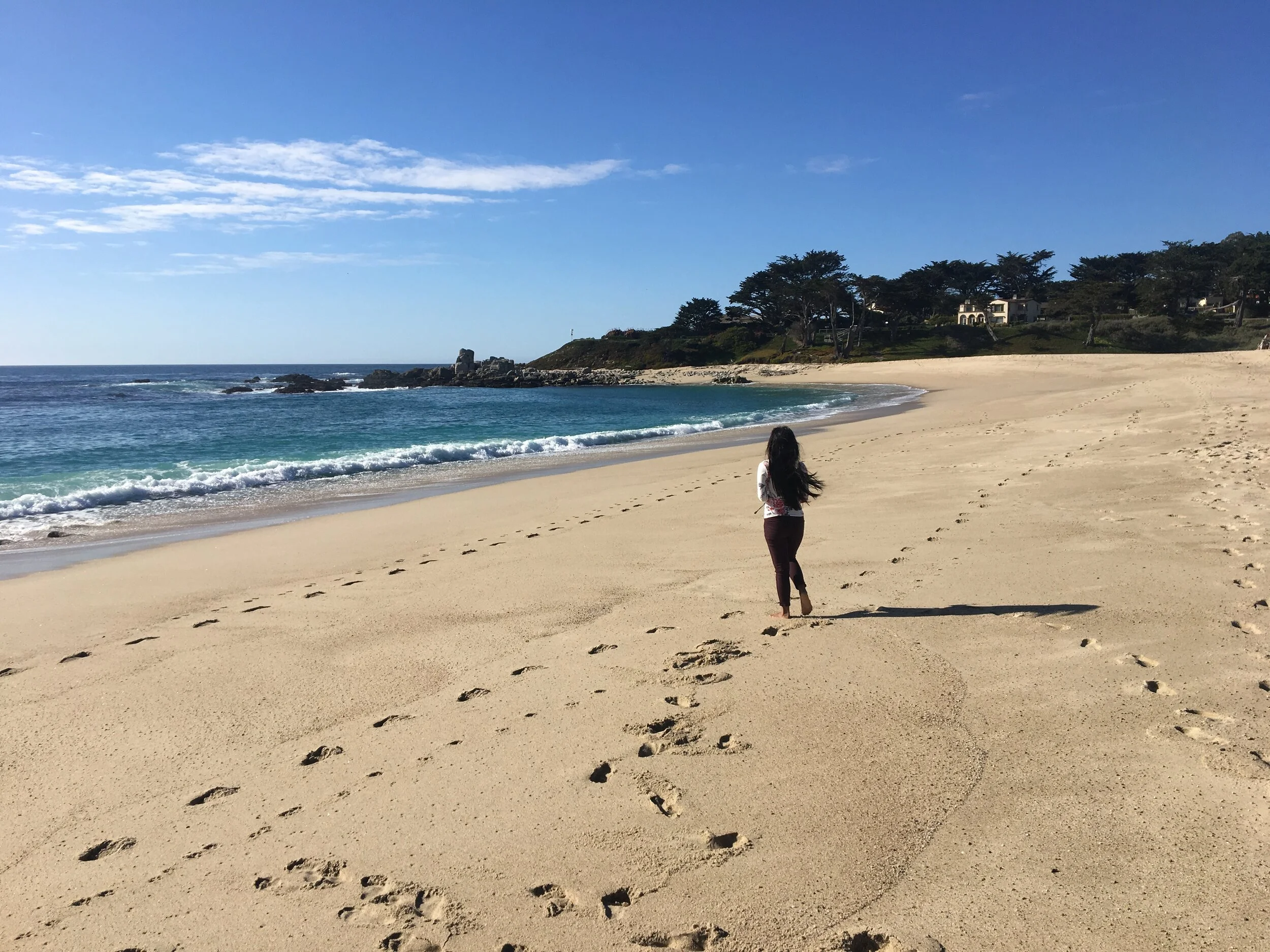 Carmel River State Beach, California, USA — Exploratory Glory Travel ...