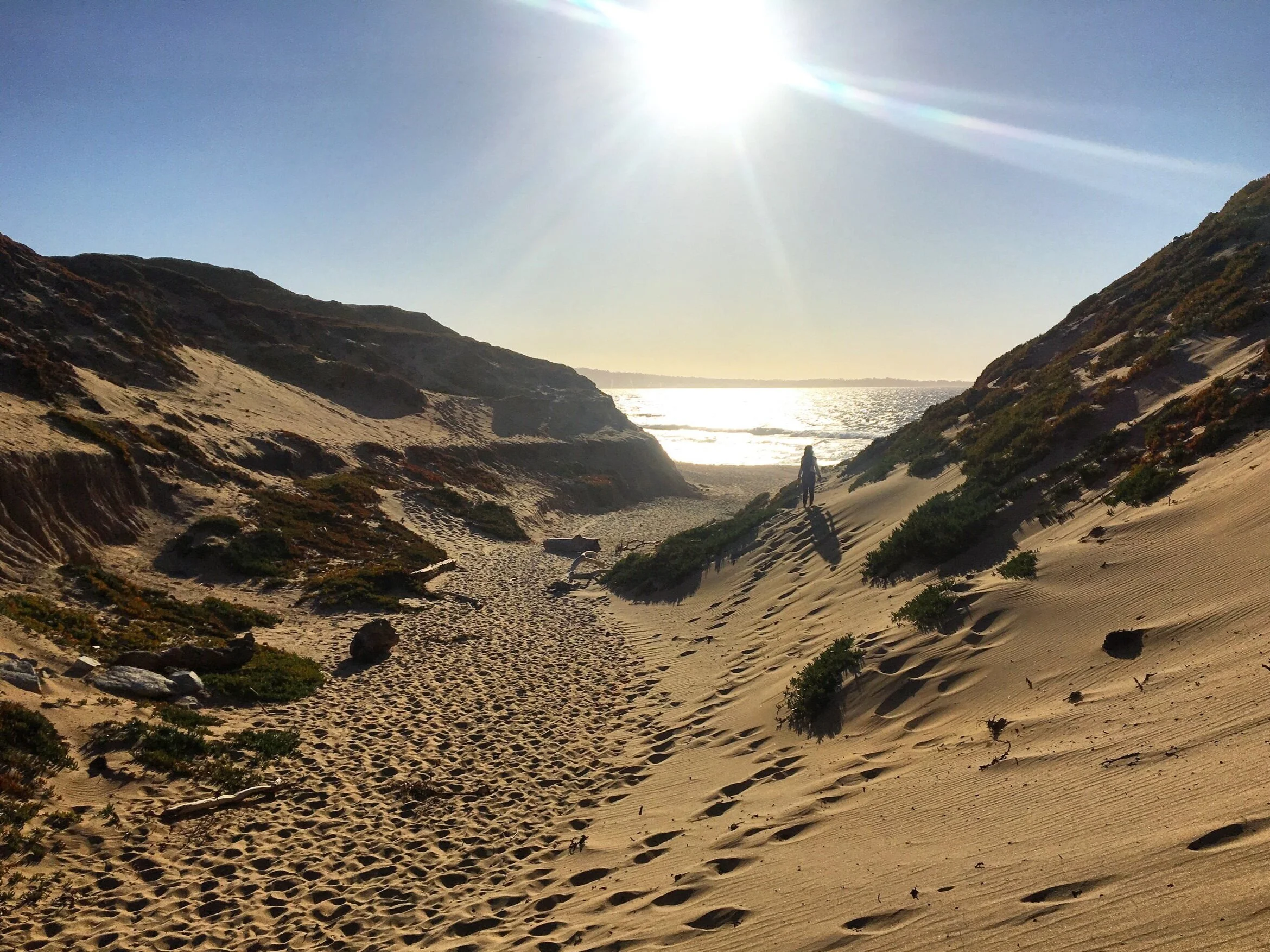 Fort Ord Dunes State Park, Monterey, California, USA — Exploratory ...