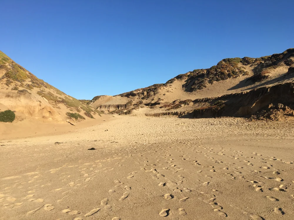Fort Ord Dunes State Park — Exploratory Glory Media Travel and ...