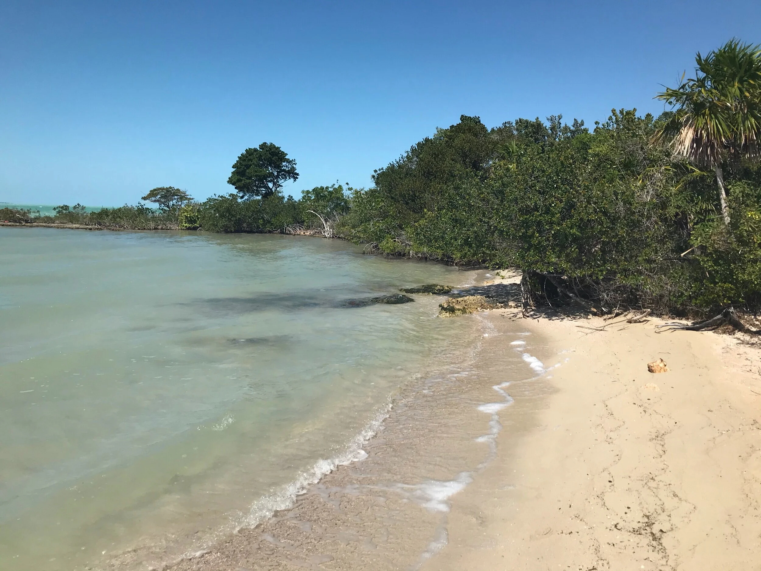 Hidden Beach, Ambergris Caye — Exploratory Glory Media Travel and ...