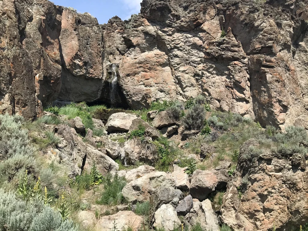 McAbee Fossil Beds — Exploratory Glory Media Travel and Lifestyle Blogs ...