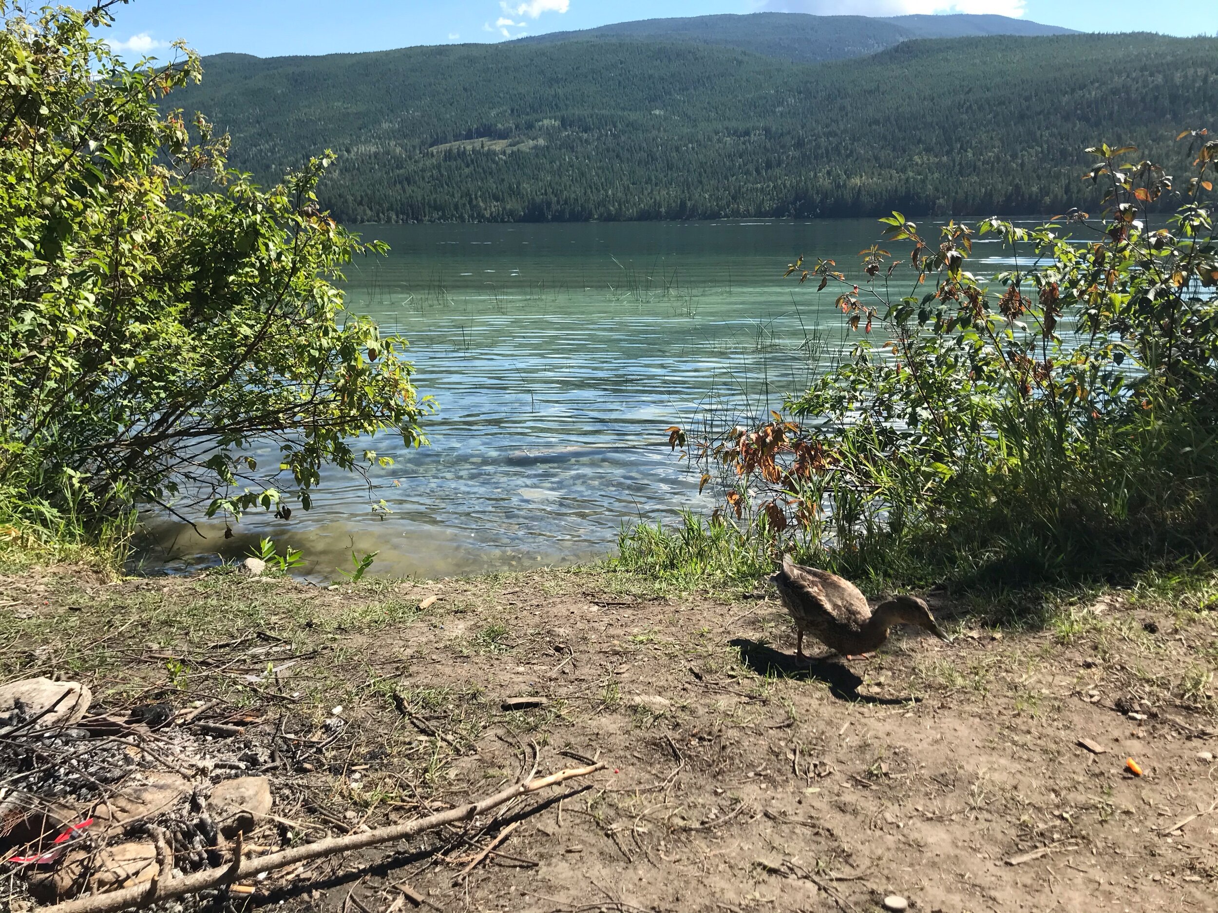 White Lake Provincial Park — Exploratory Glory Media Travel and ...
