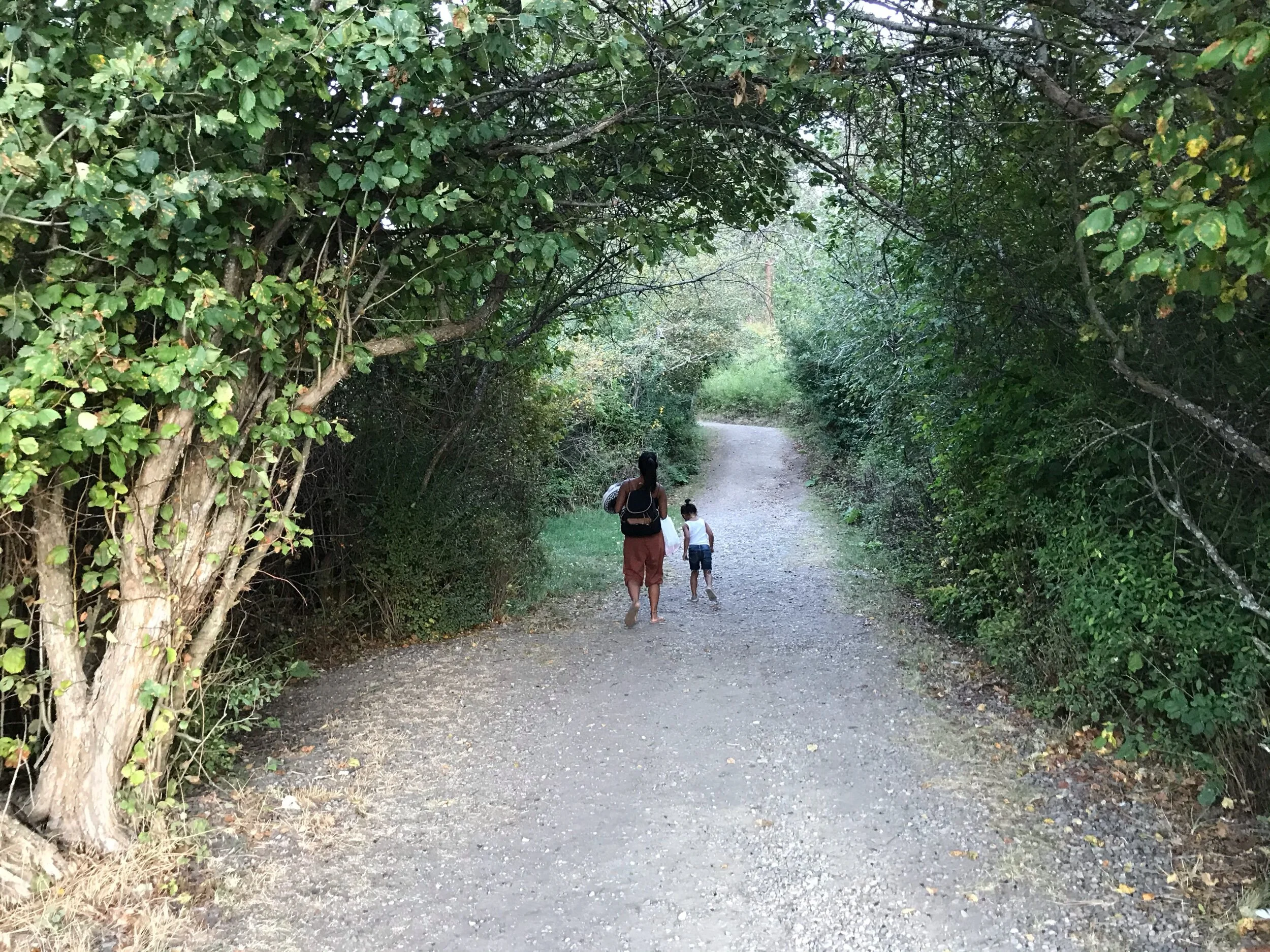 Jade Bay Beach, Vernon — Exploratory Glory Media Travel and Lifestyle ...