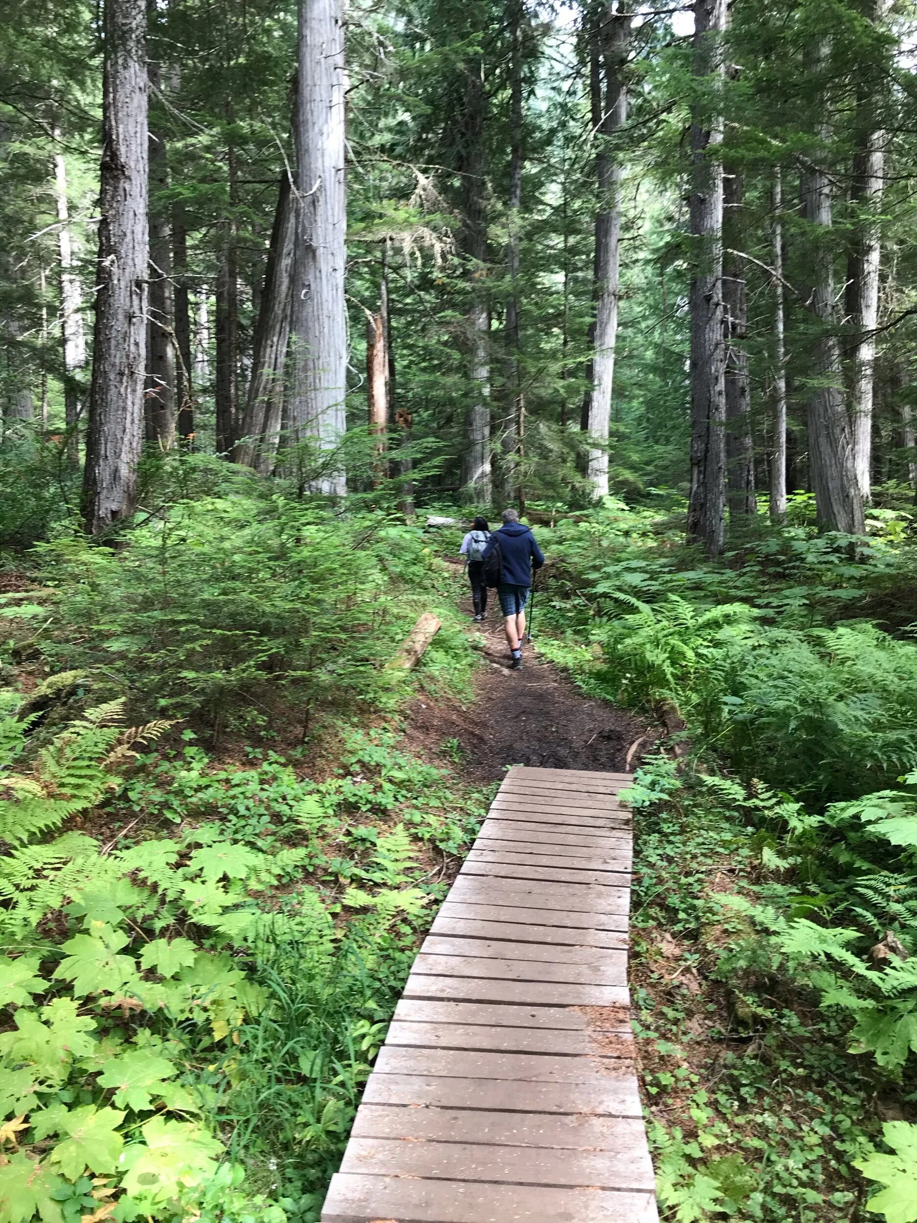 Monashee Provincial Park, British Columbia, Canada — Exploratory Glory ...