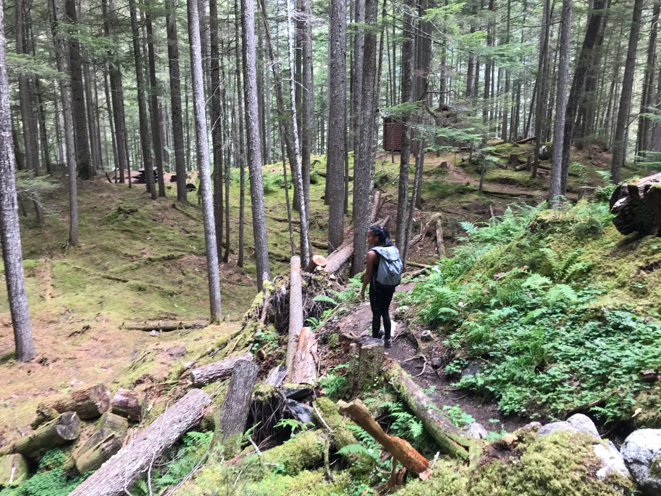 Monashee Provincial Park — Exploratory Glory Media Travel and Lifestyle ...