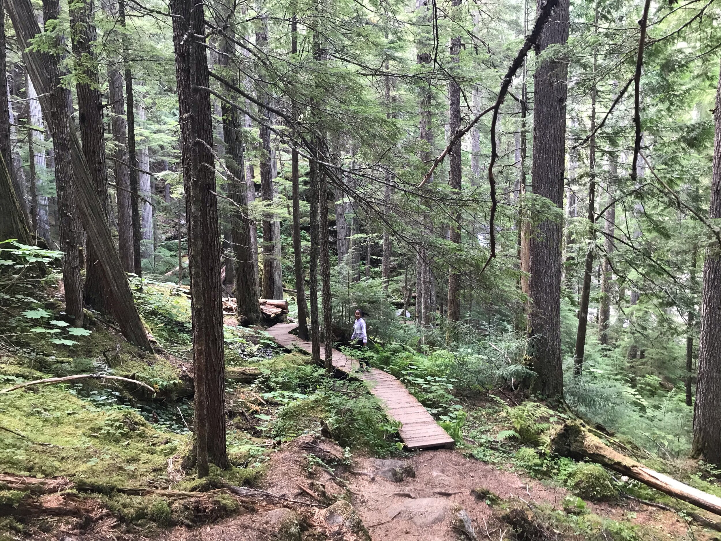 Rainbow Falls, Monashee Provincial Park, British Columbia — Exploratory ...