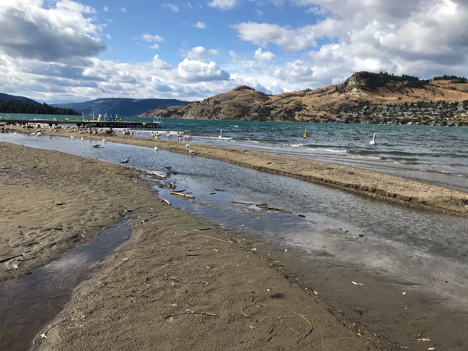 Kirkland Beach Park, Coldstream — Exploratory Glory Media Travel and ...