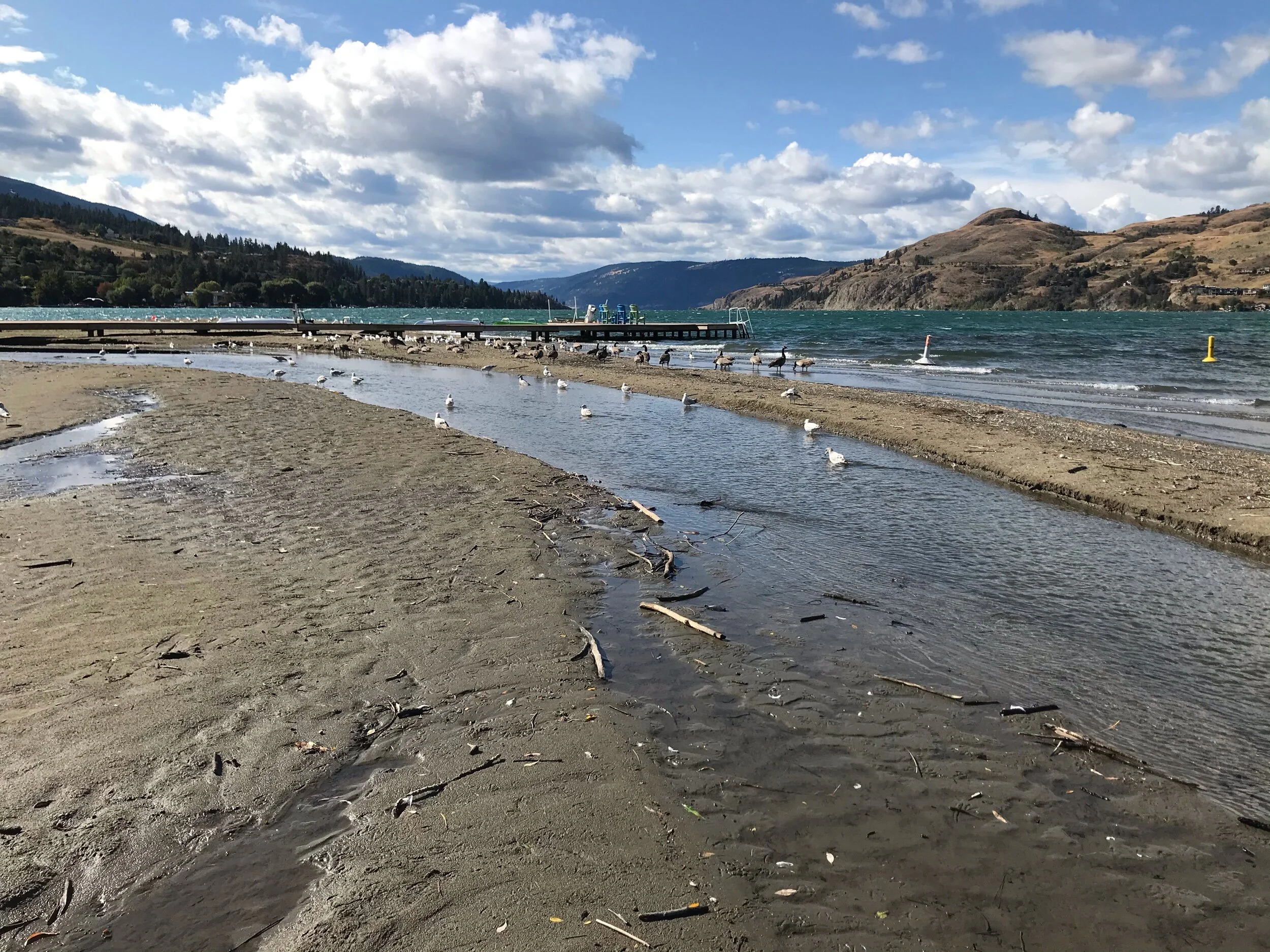 Kirkland Beach Park, Coldstream — Exploratory Glory Media Travel and ...