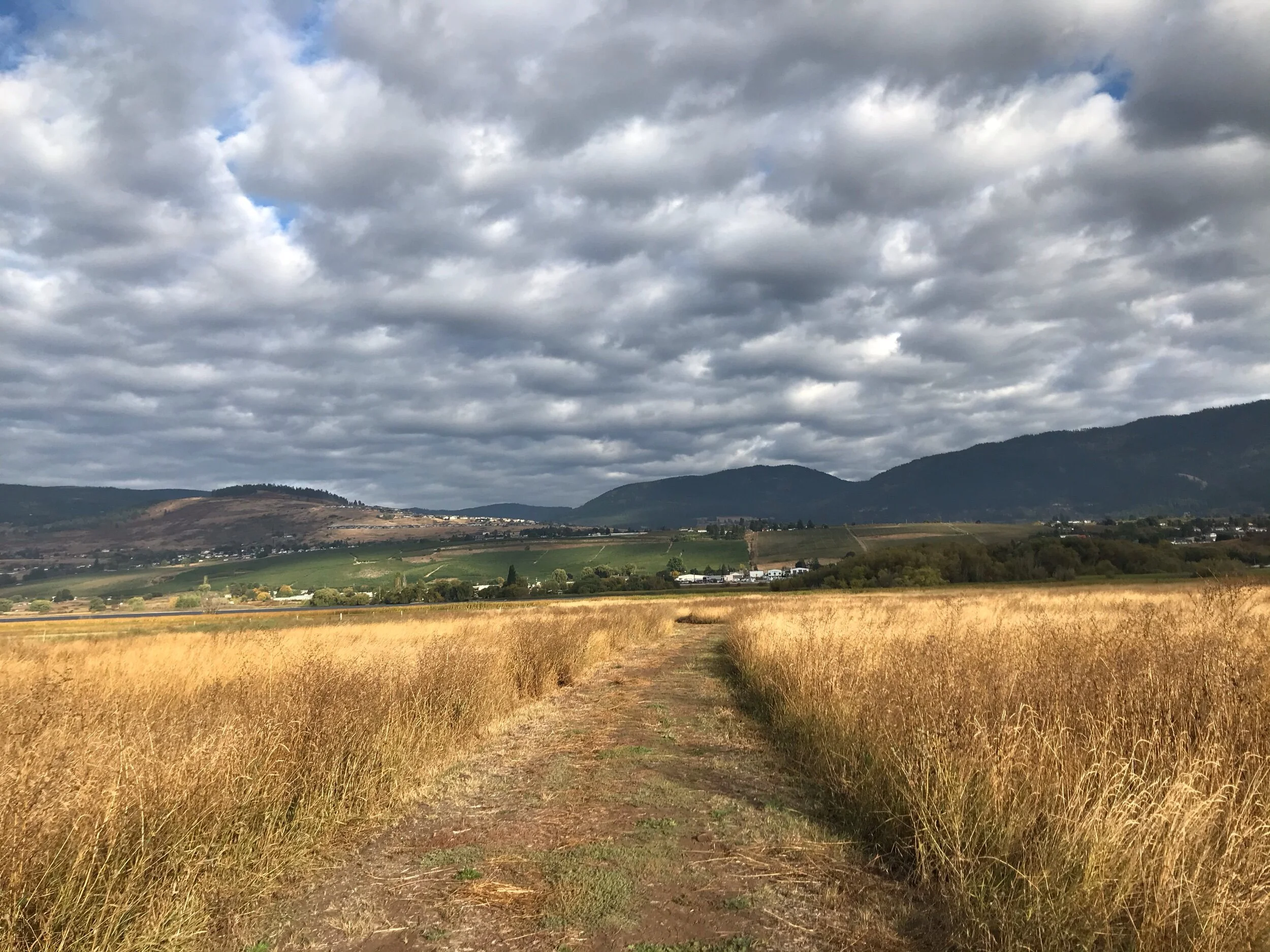 Swan Lake Nature Reserve — Exploratory Glory Media Travel and Lifestyle ...