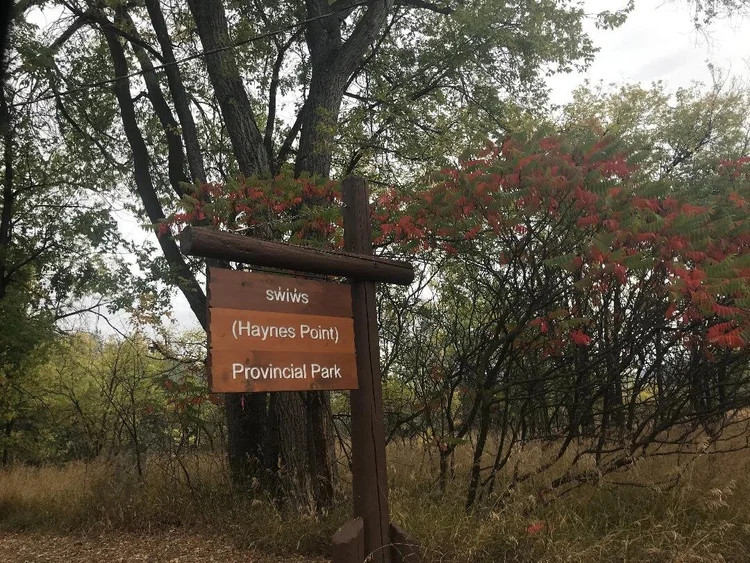 Sẁiẁs Provincial Park (Haynes Point) — Exploratory Glory Media Travel ...