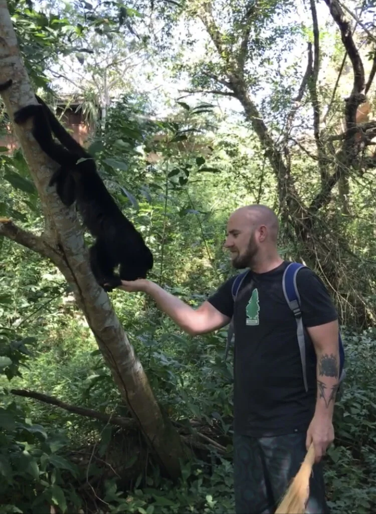 Howler Monkey Tour, Belize — Exploratory Glory Media Travel and ...