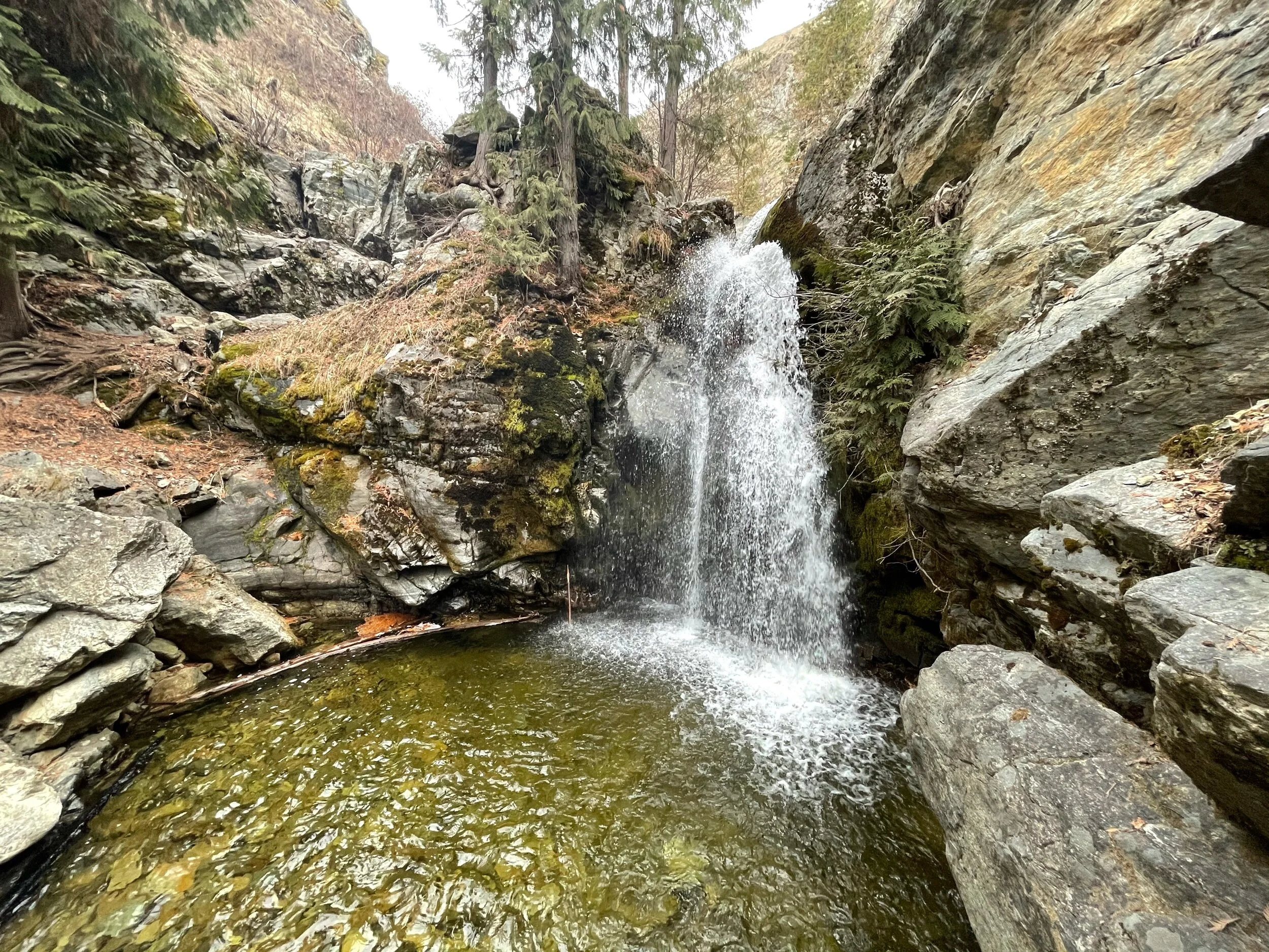 Canyon Falls Park (Crawford Falls) Kelowna, BC — Exploratory Glory ...