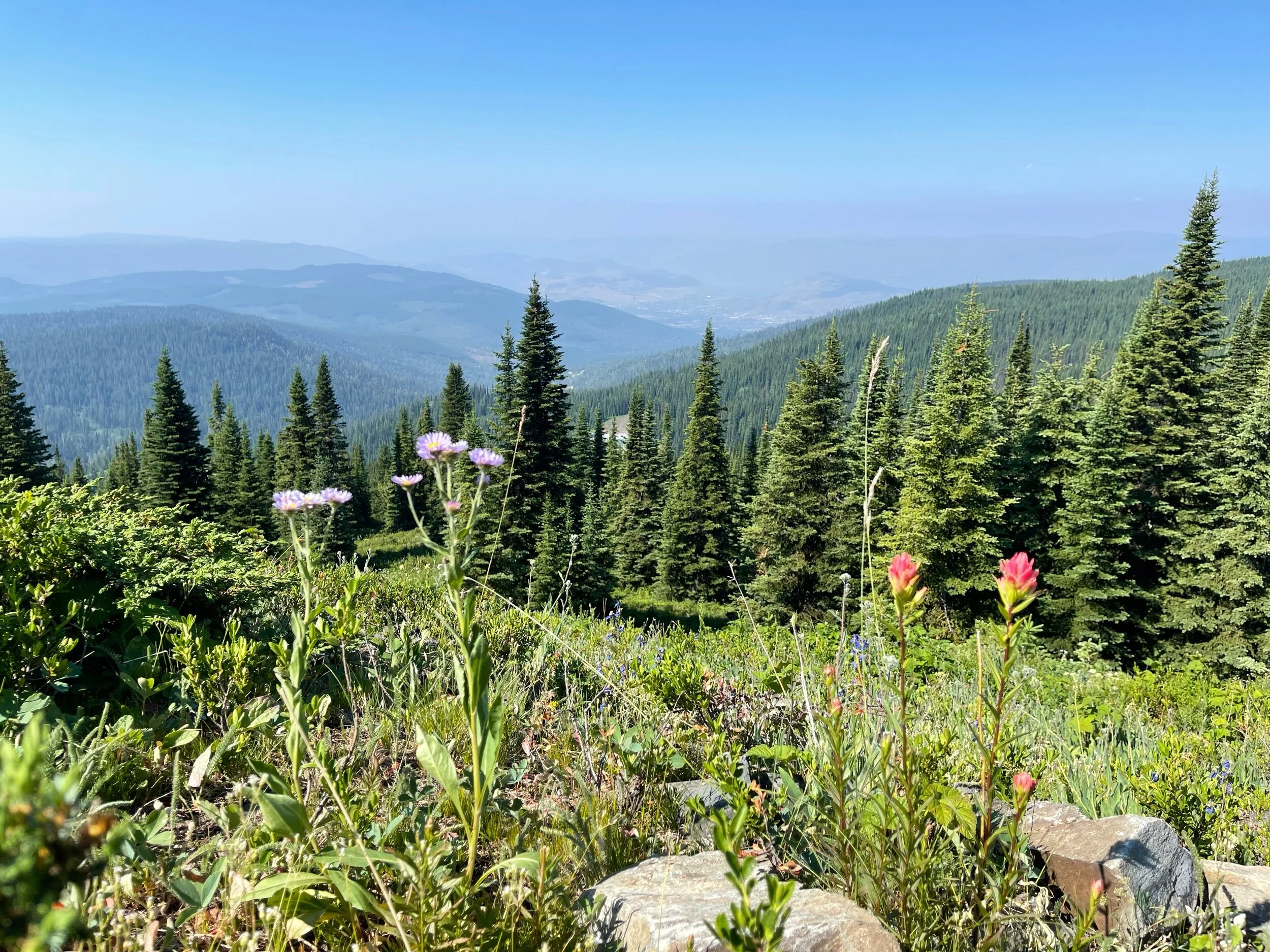 Guide to Travel SilverStar, BC (Summer) — Exploratory Glory Media ...