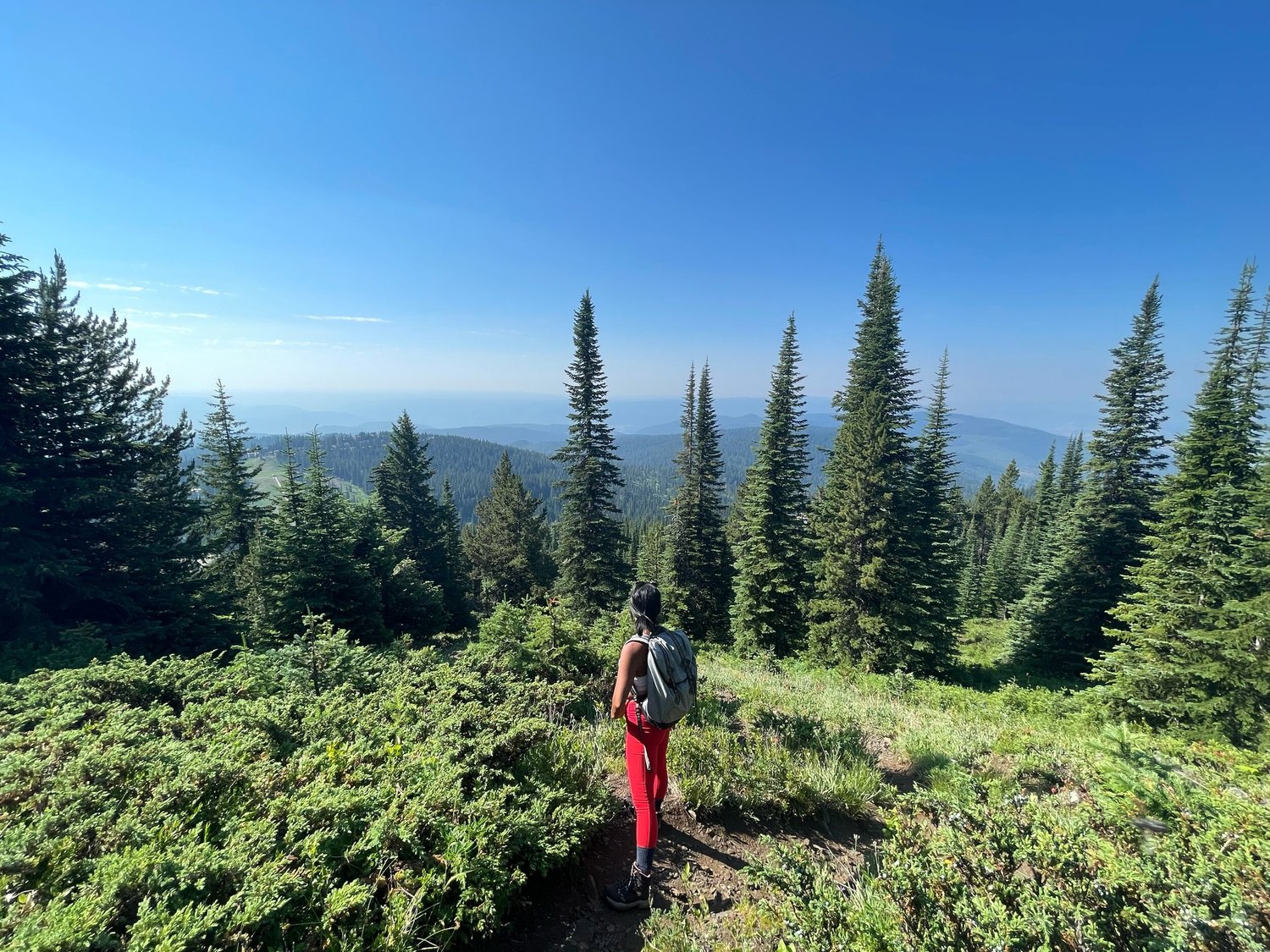 Ridgewalk Trail, Silver Star, BC — Exploratory Glory Media Travel and ...