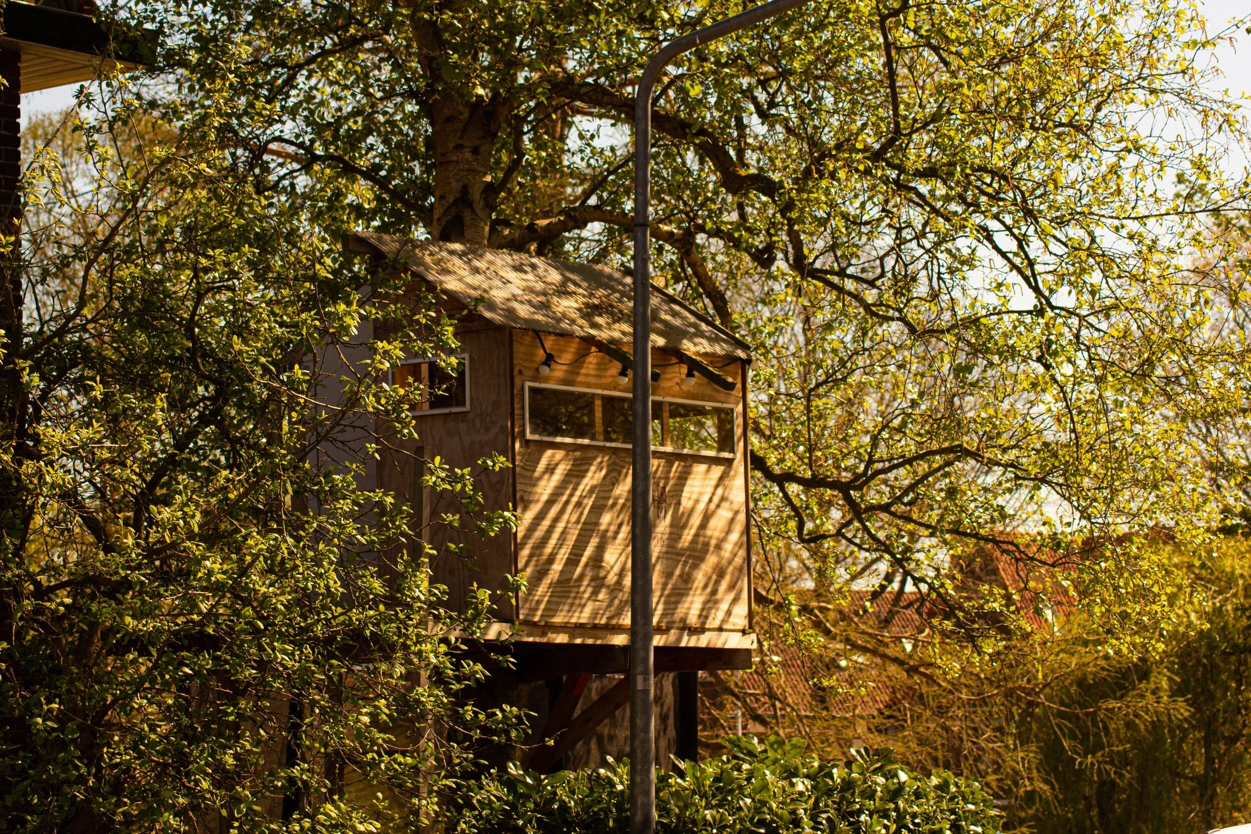 The Ultimate Treehouse Planning Guide — Exploratory Glory Travel Blog