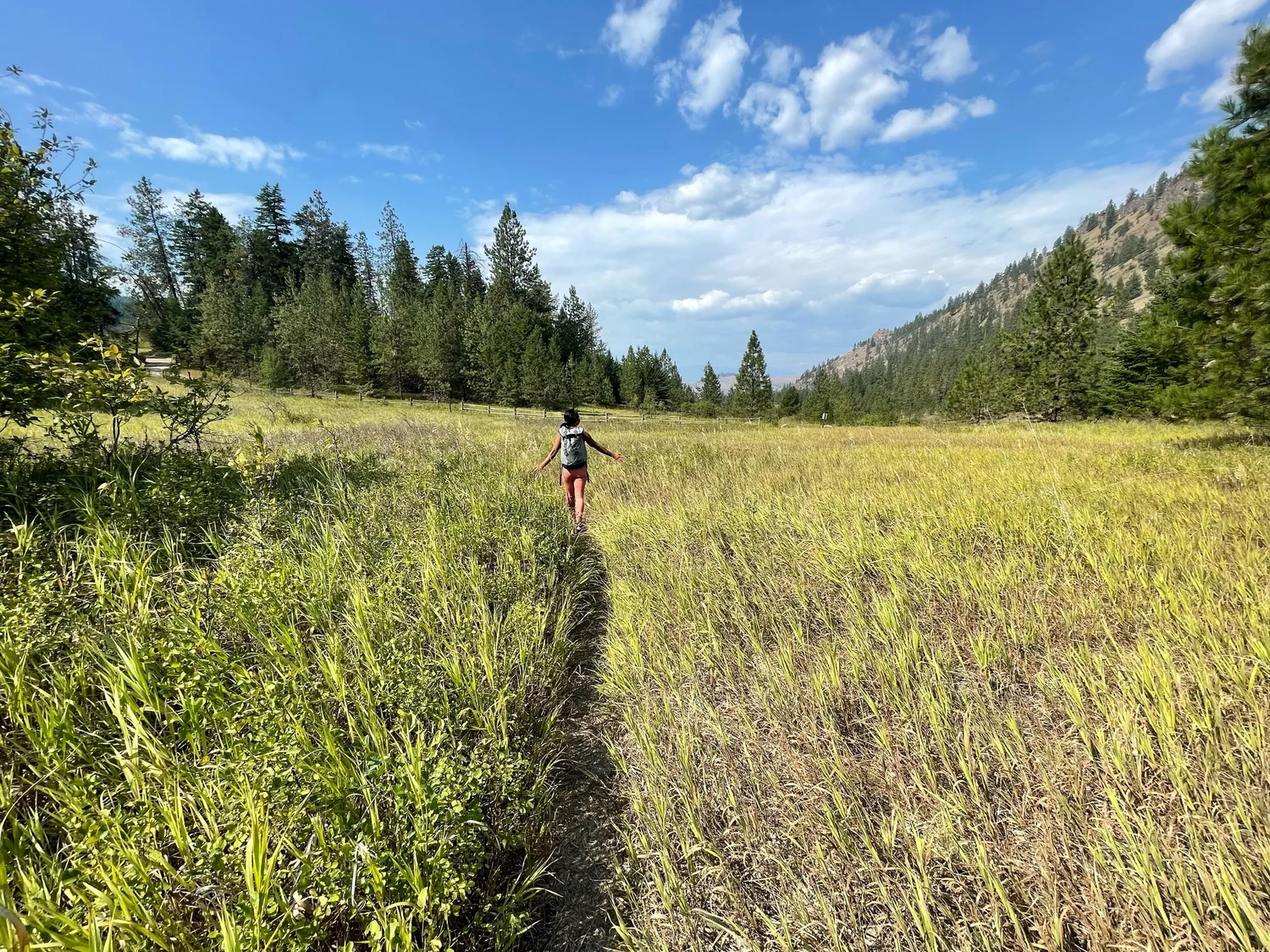 Okanagan High Rim Trail (Bear Valley) — Exploratory Glory Media Travel ...
