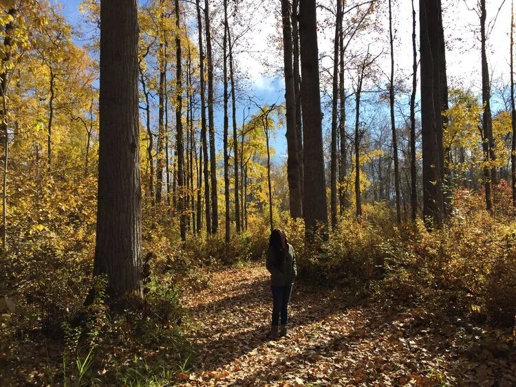 Guide to Travel Sicamous — Exploratory Glory Travel Blog